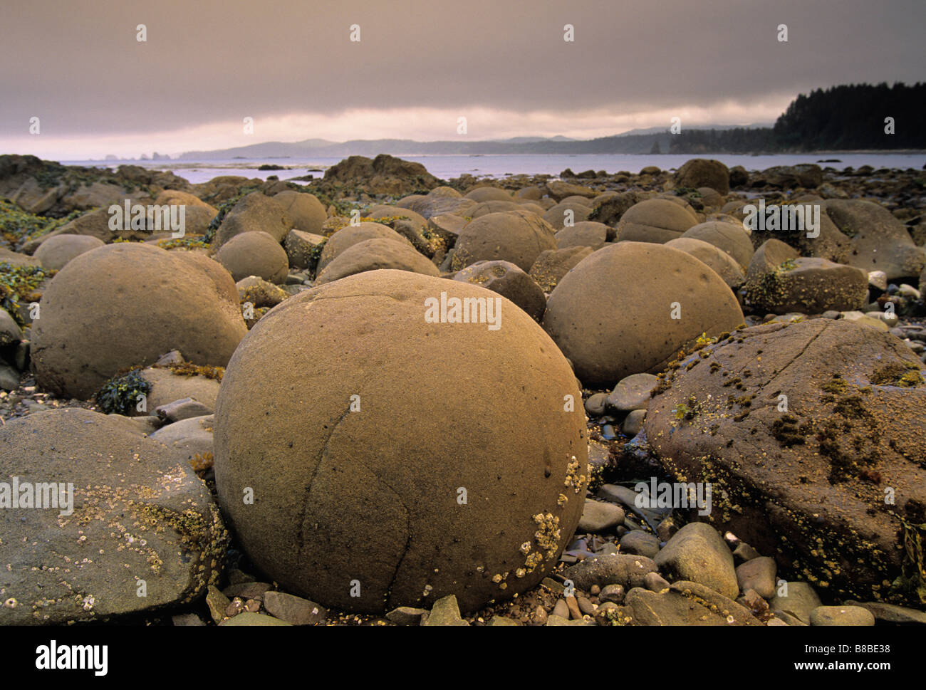 Sunset Olympic National Park, Cape Alava, Washington State Stock Photo ...