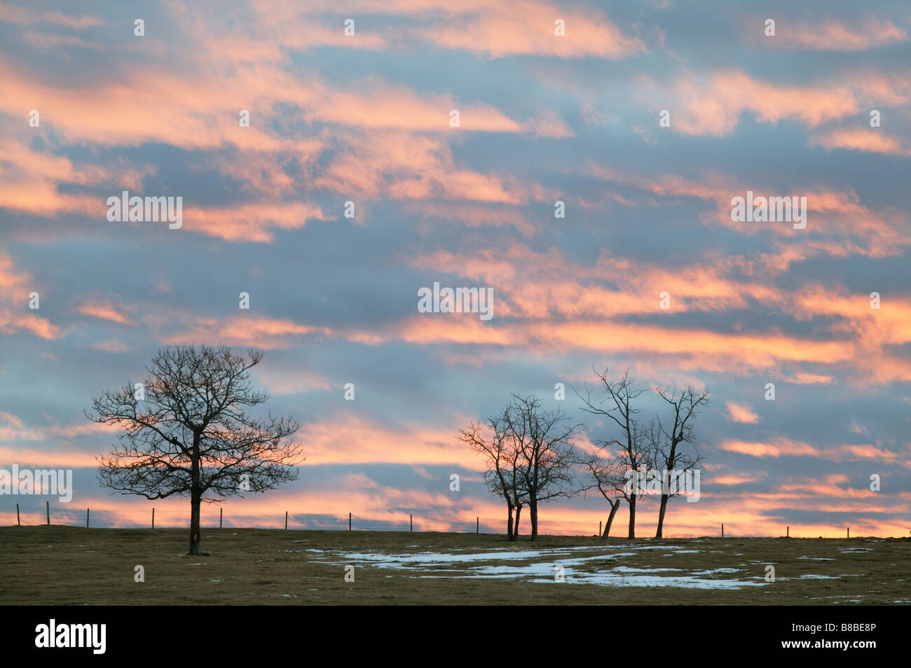 Cremona alberta hi-res stock photography and images - Alamy