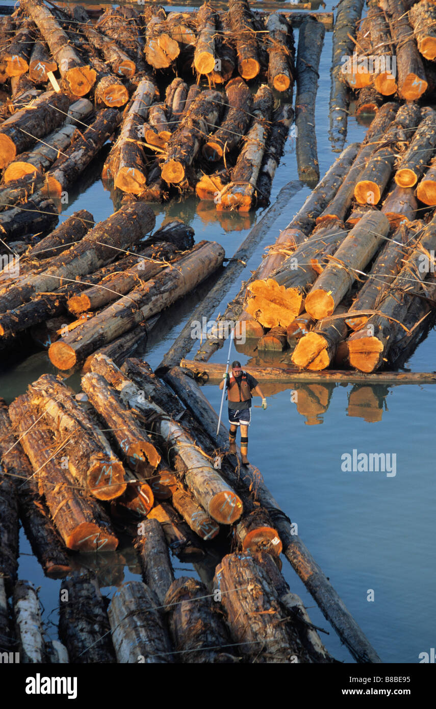 Columbia river log storage hi-res stock photography and images - Alamy