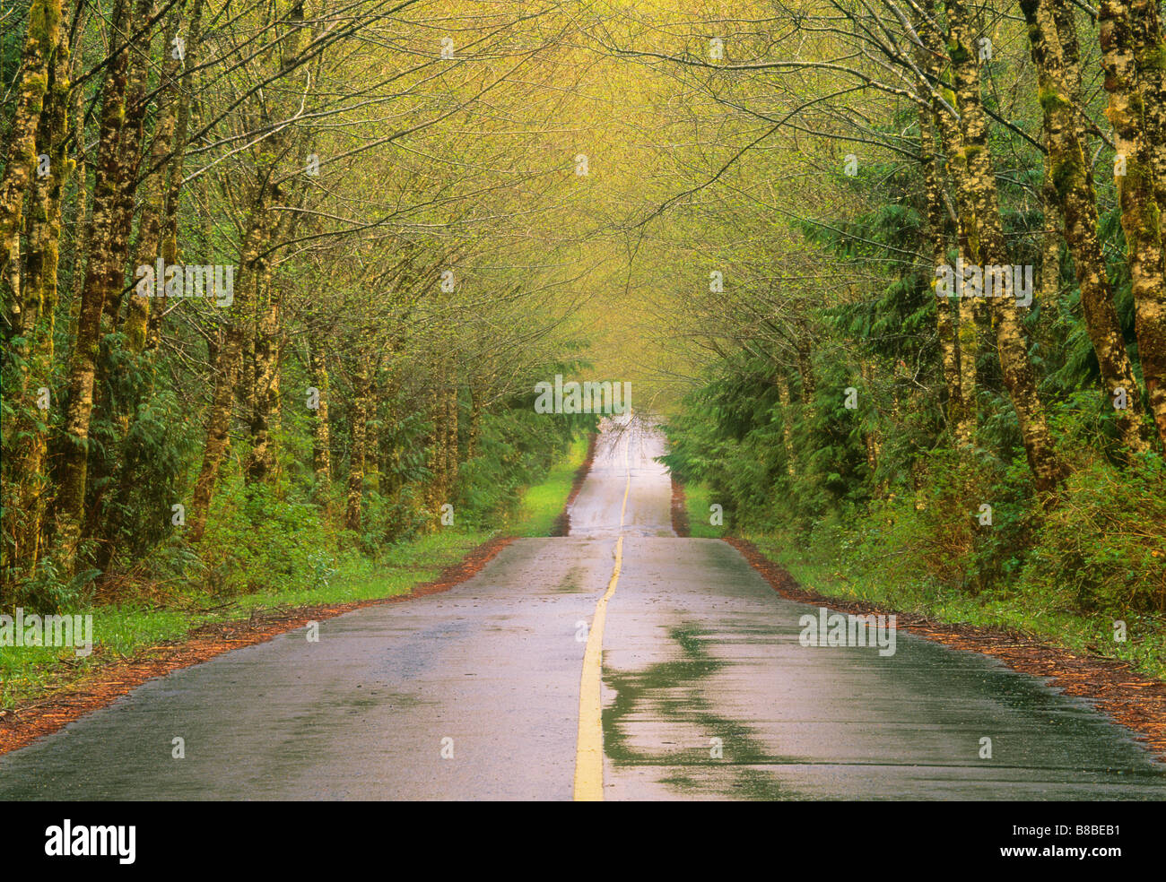 Rain Country High Resolution Stock Photography and Images - Alamy
