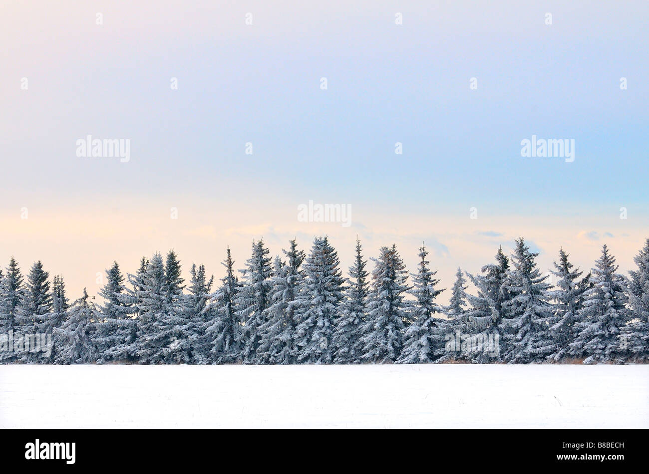 Trees line agricultural landscape hi-res stock photography and images ...