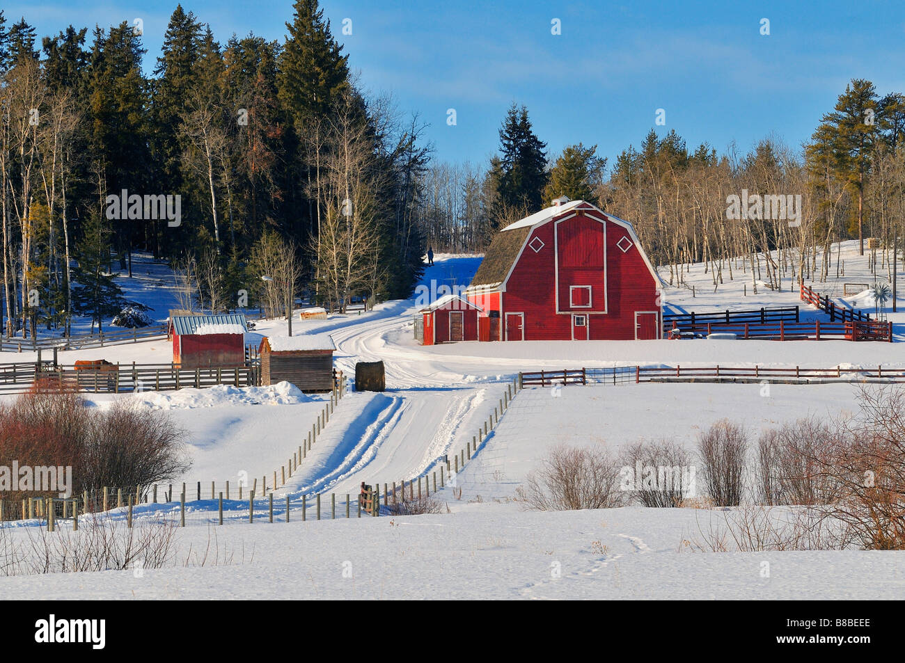 Canadian barn hi-res stock photography and images - Alamy