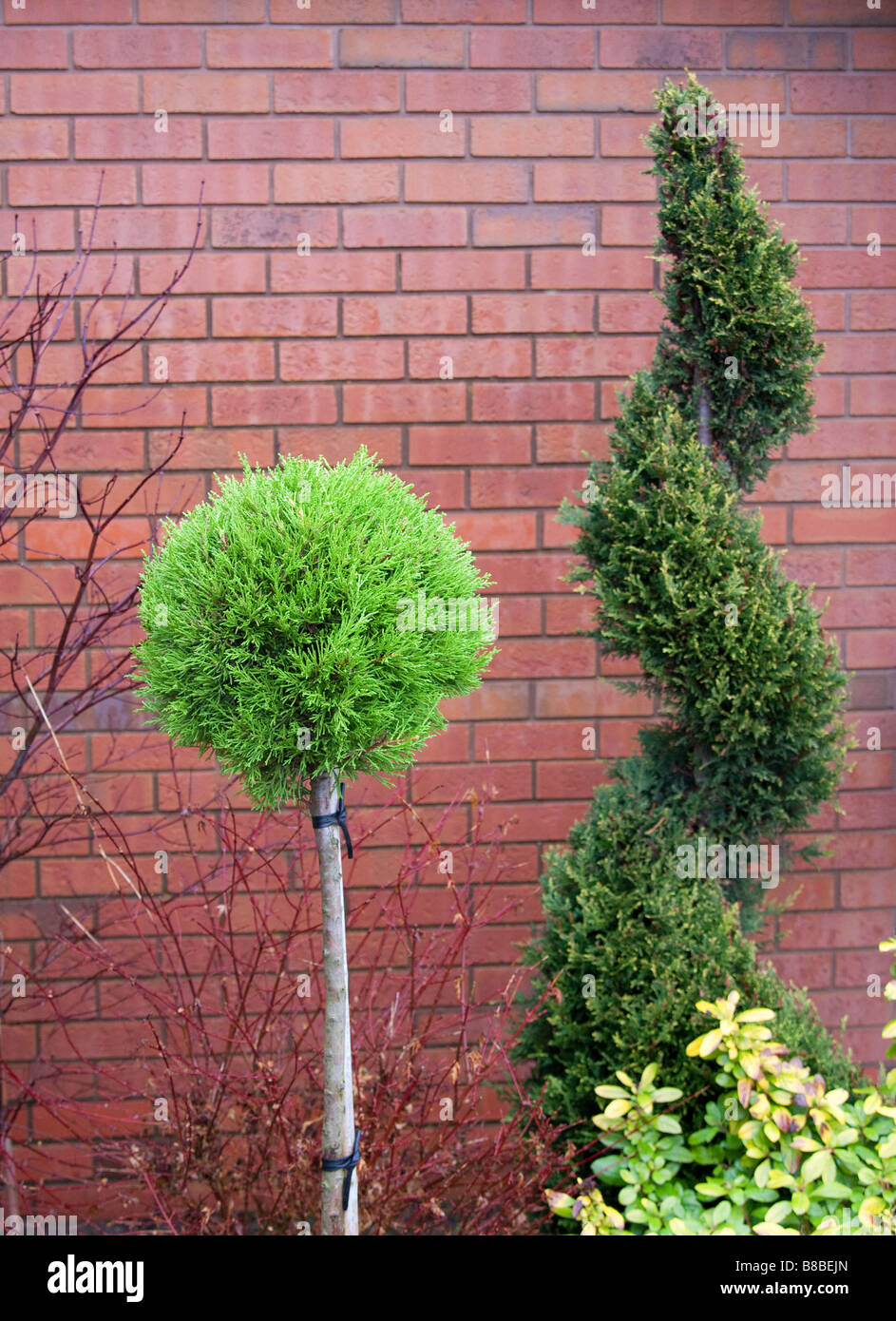 Ball topiary hi-res stock photography and images - Alamy