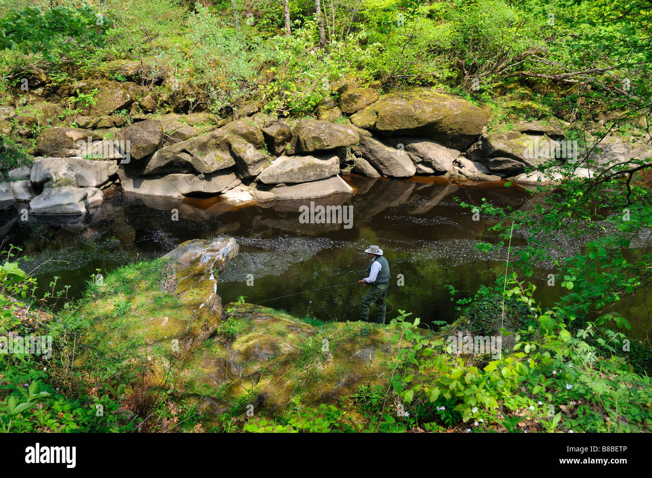Fishing in the beautiful valley of the River Wharfe at Bolton Abbey in ...