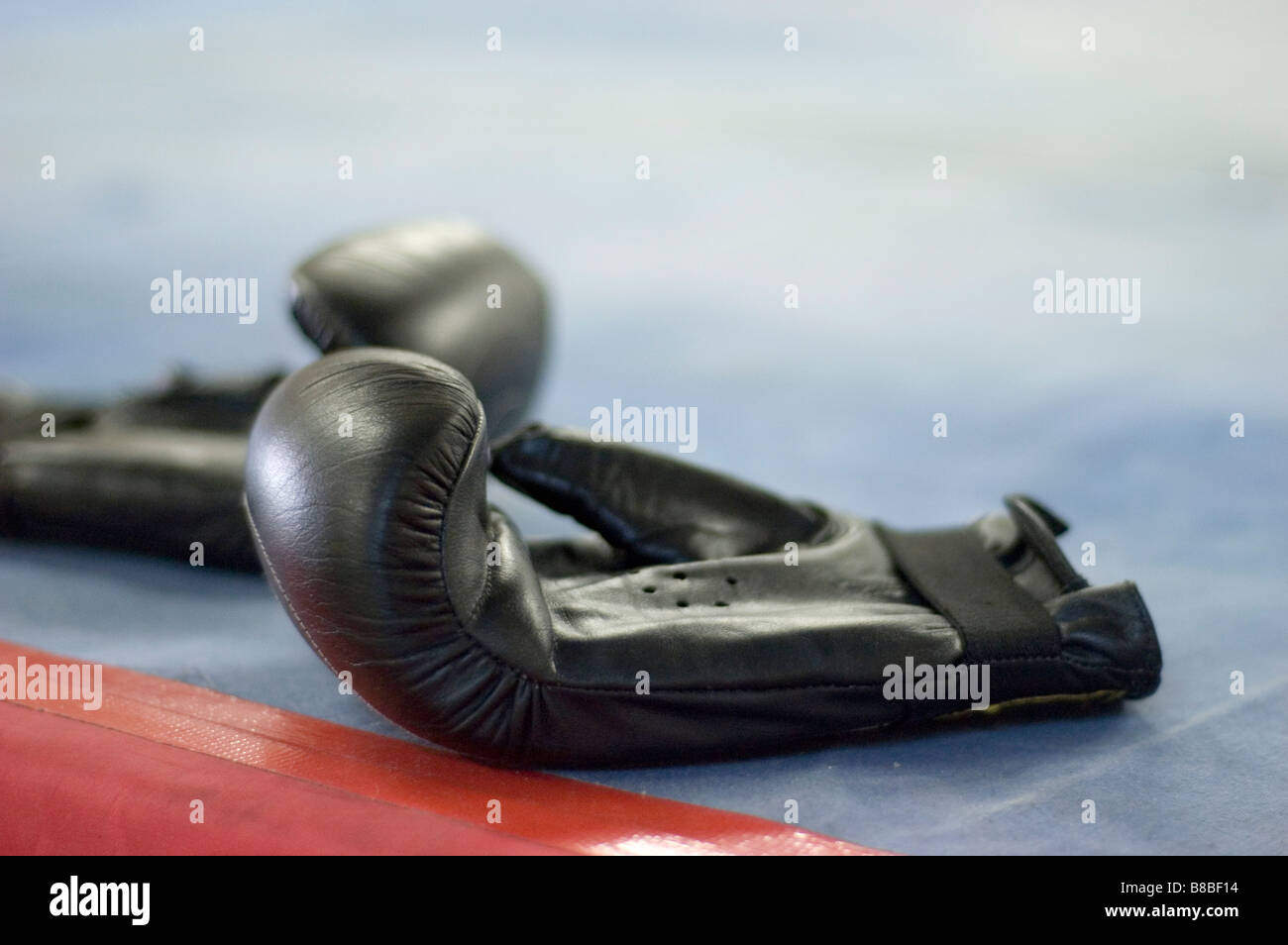 Close Up Boxing Gloves Boxing Ring Stock Photo - Alamy