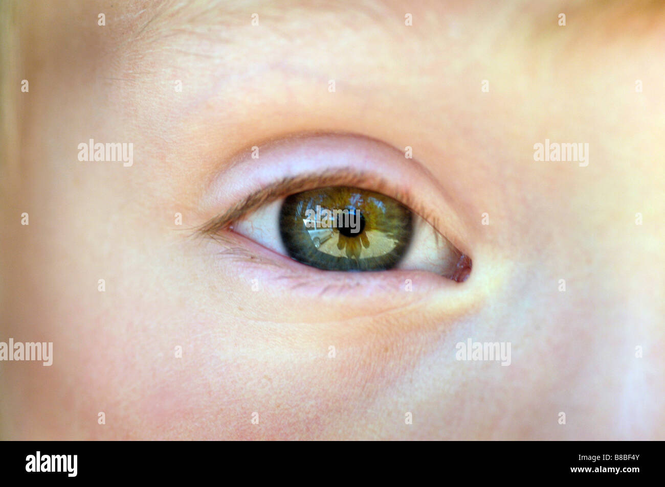 Close Up Young Boys Eye Stock Photo - Alamy