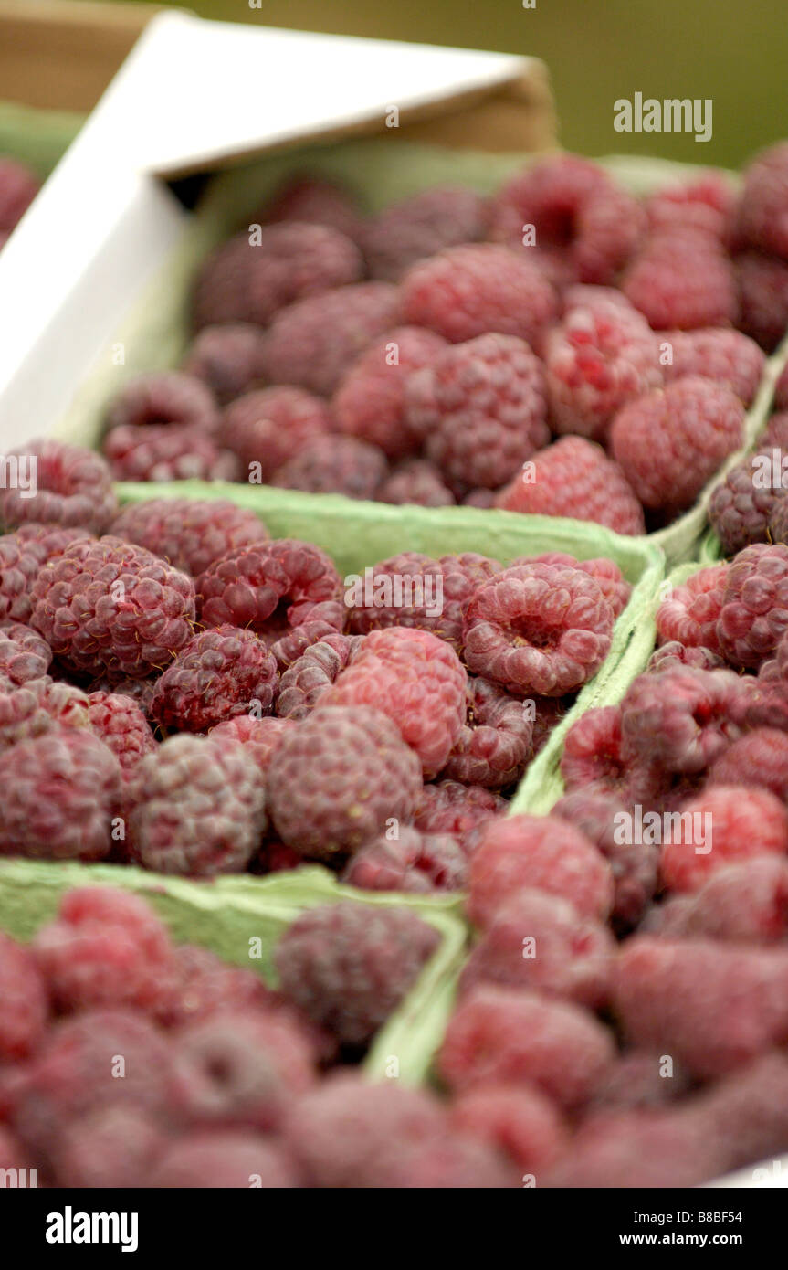Pint of raspberries hi-res stock photography and images - Alamy