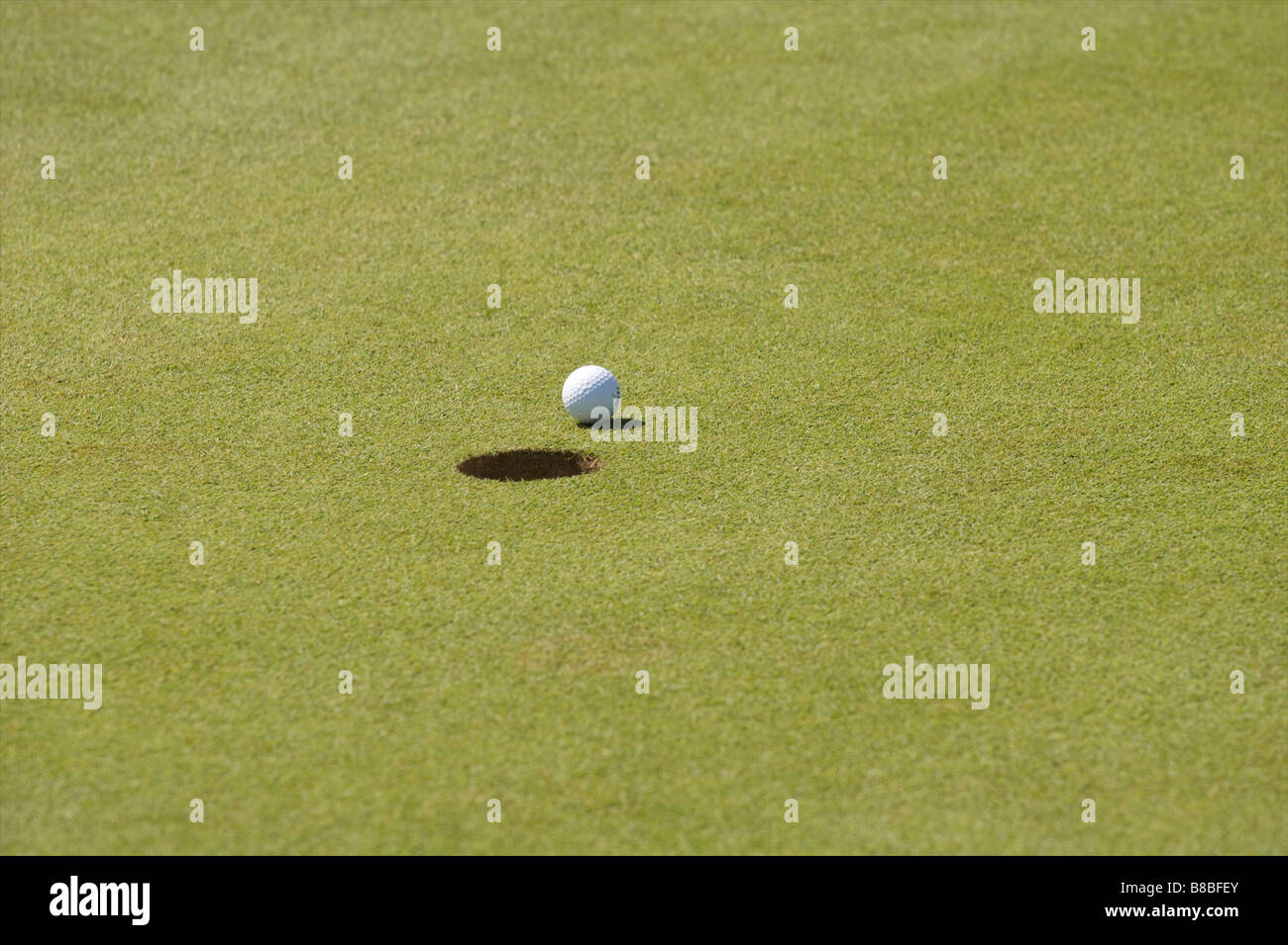 Golf hole ball alamy hi-res stock photography and images - Alamy