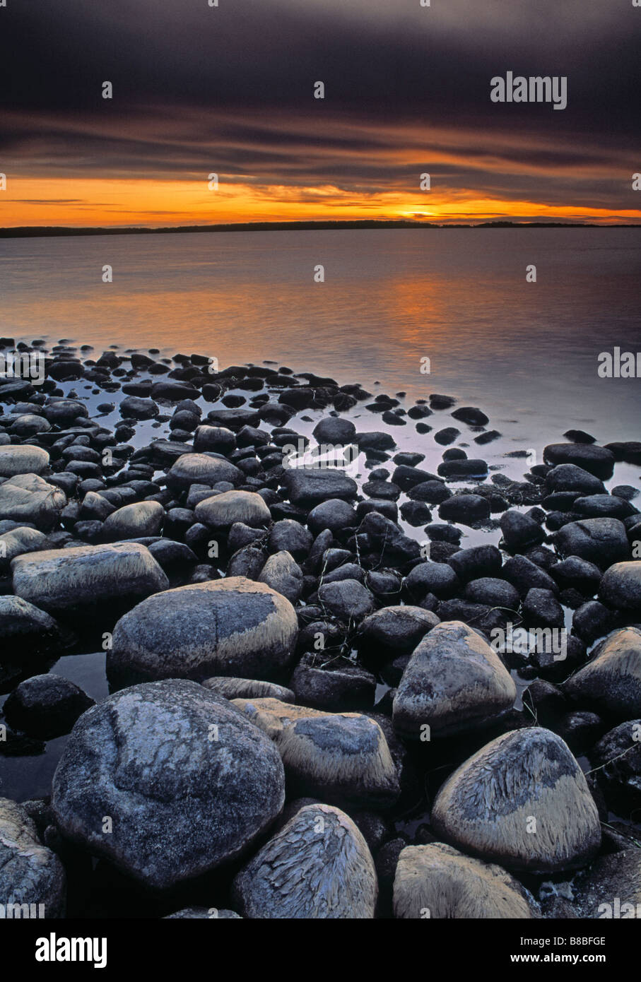Long point provincial park hi-res stock photography and images - Alamy