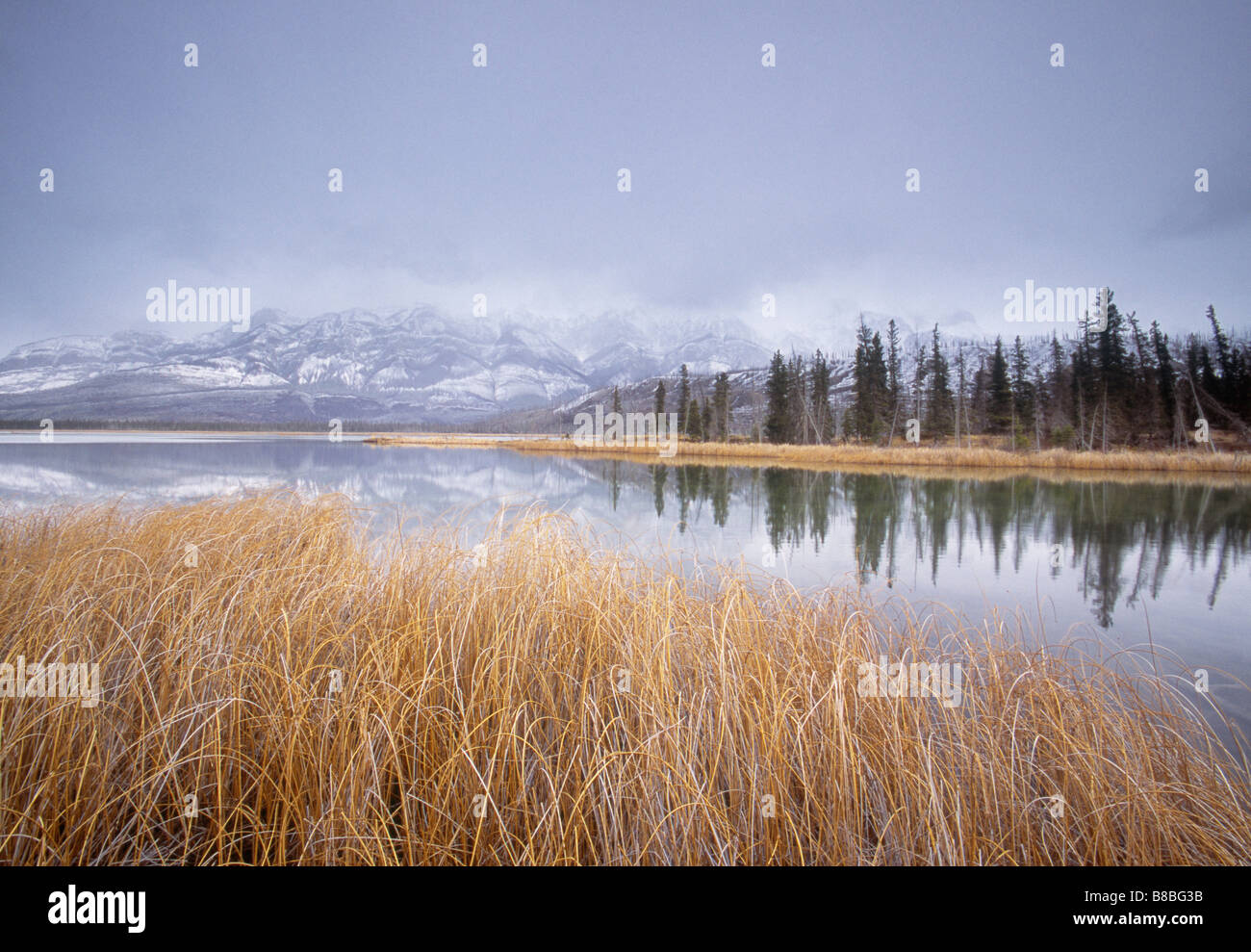 Miette Range Talbot Lake Jasper High Resolution Stock Photography and ...
