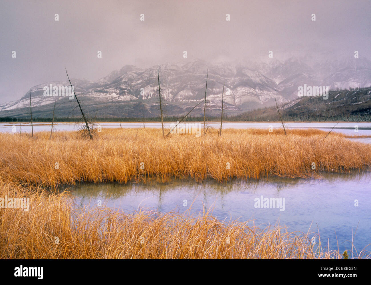 Miette Range Talbot Lake Jasper High Resolution Stock Photography and ...