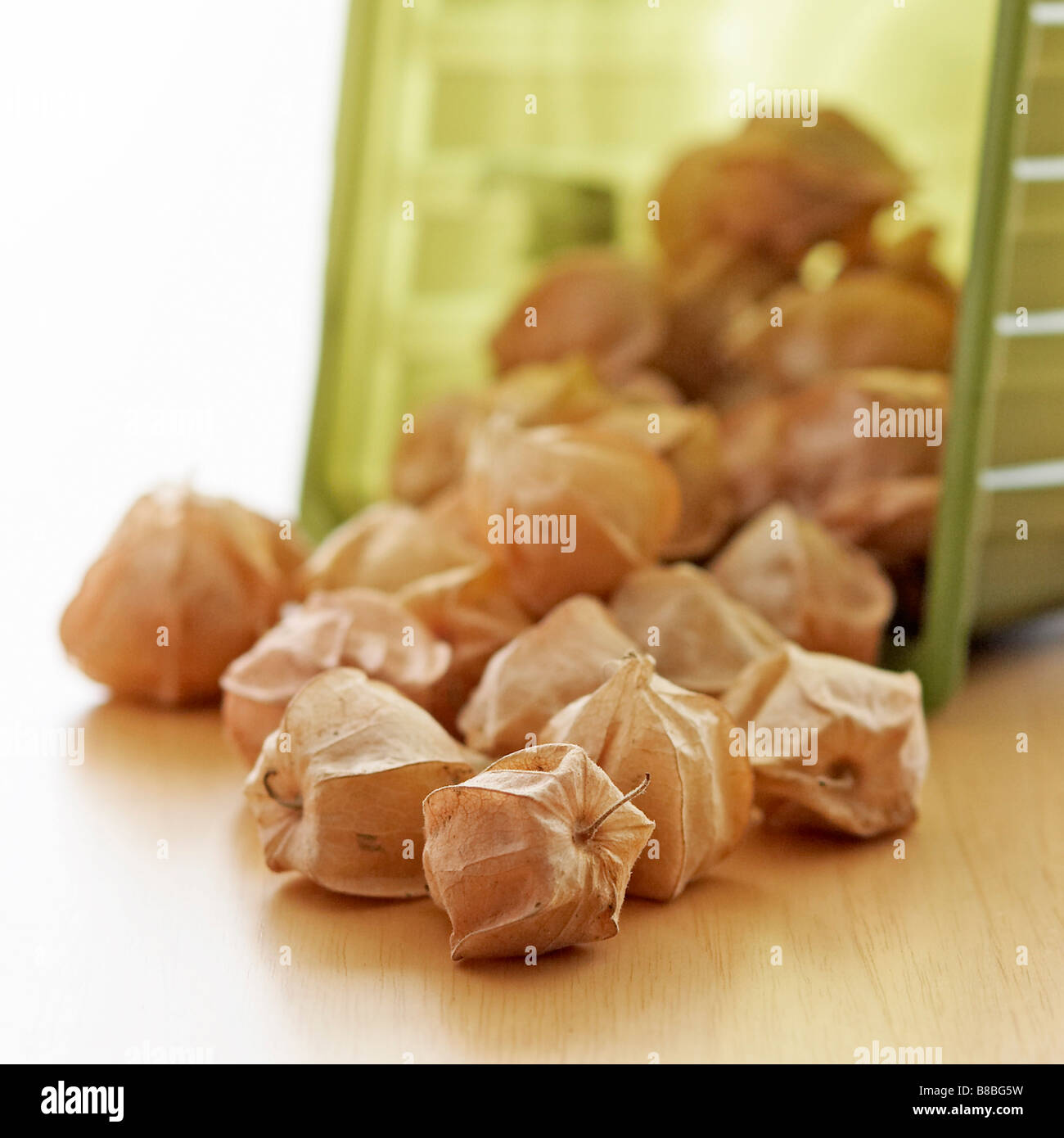 Gooseberry plant container hi-res stock photography and images - Alamy