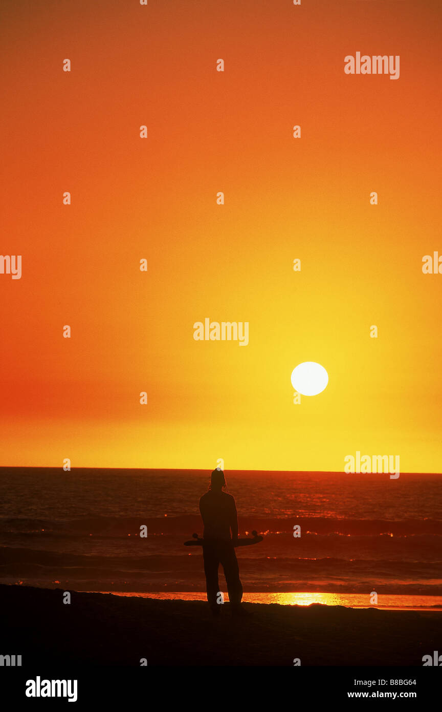 FV5424, Alan Marsh; Surfer Sunset, Venice Beach, California Stock Photo ...