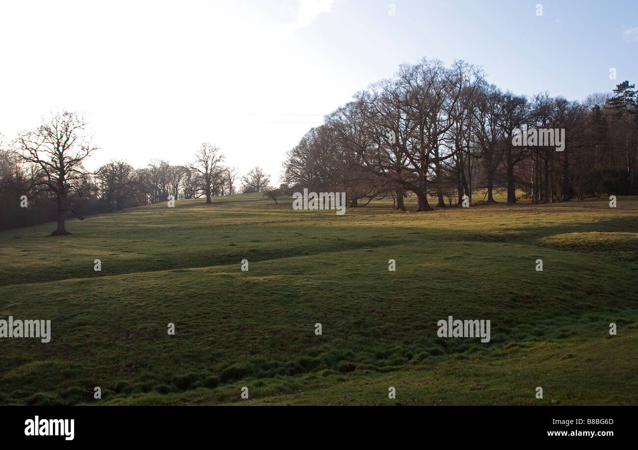 Hazy Sunshine High Resolution Stock Photography and Images - Alamy