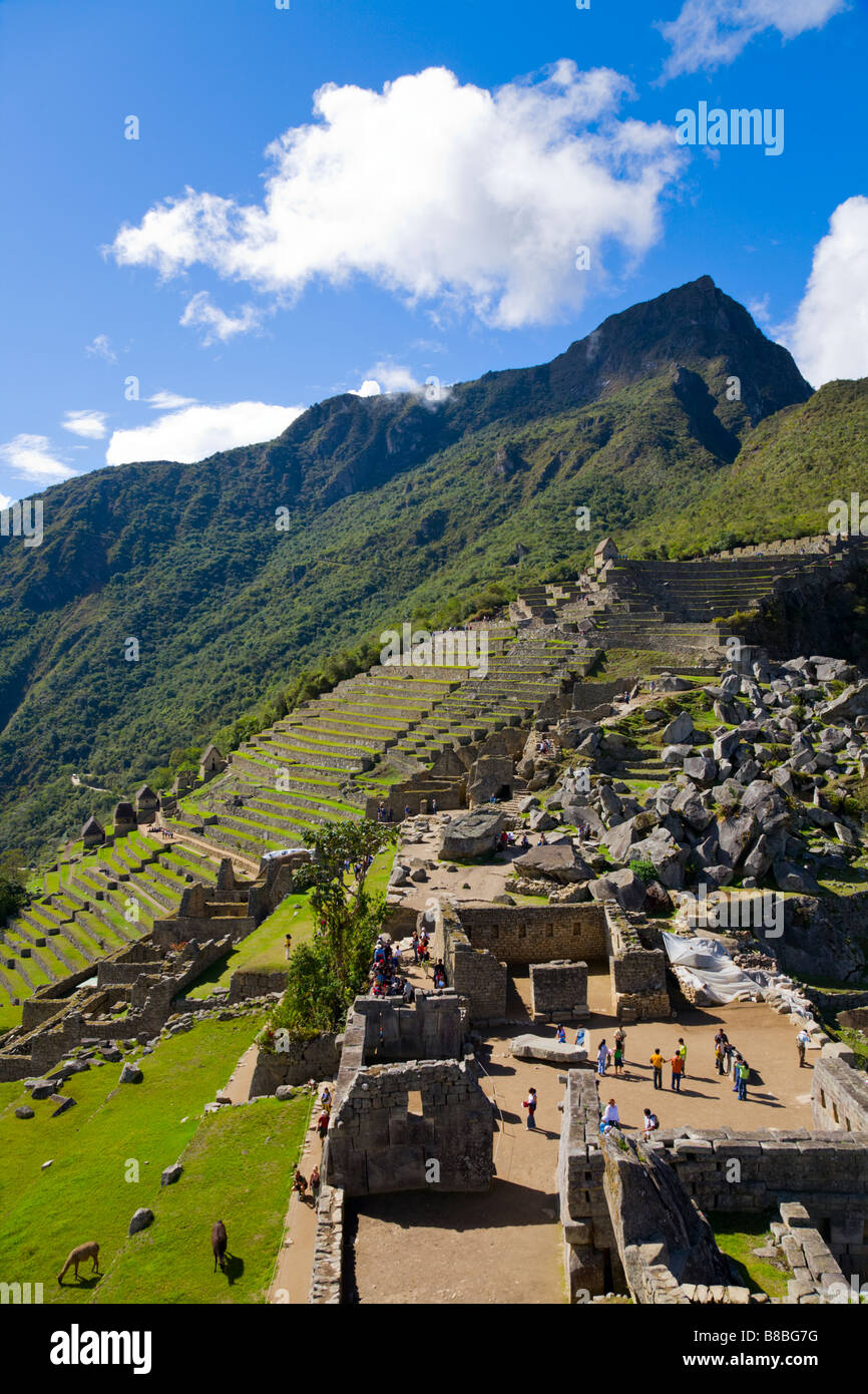 Terraces at Machu Picchu Stock Photo - Alamy
