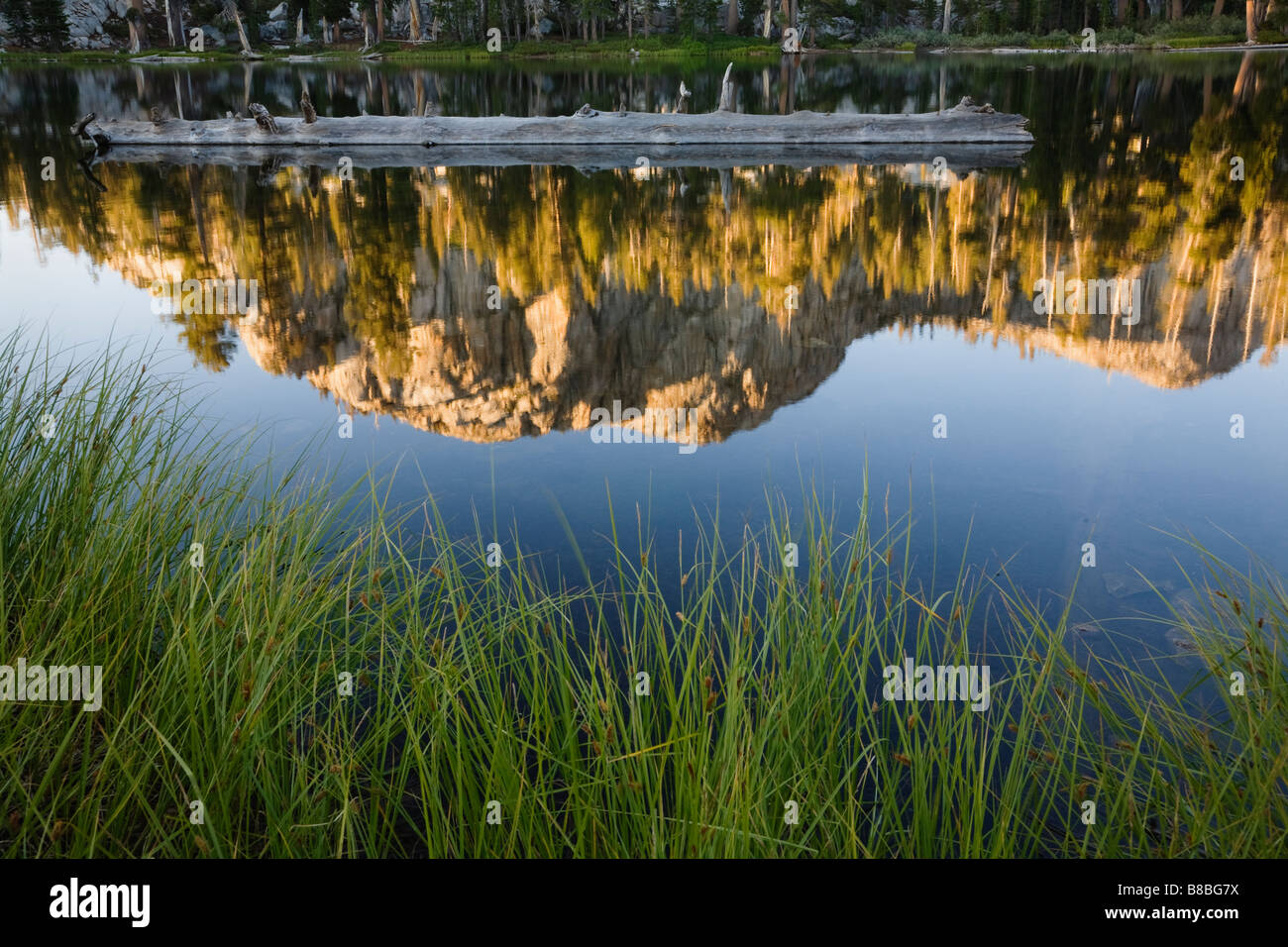 Gem lake emigrant wilderness area hi-res stock photography and images ...