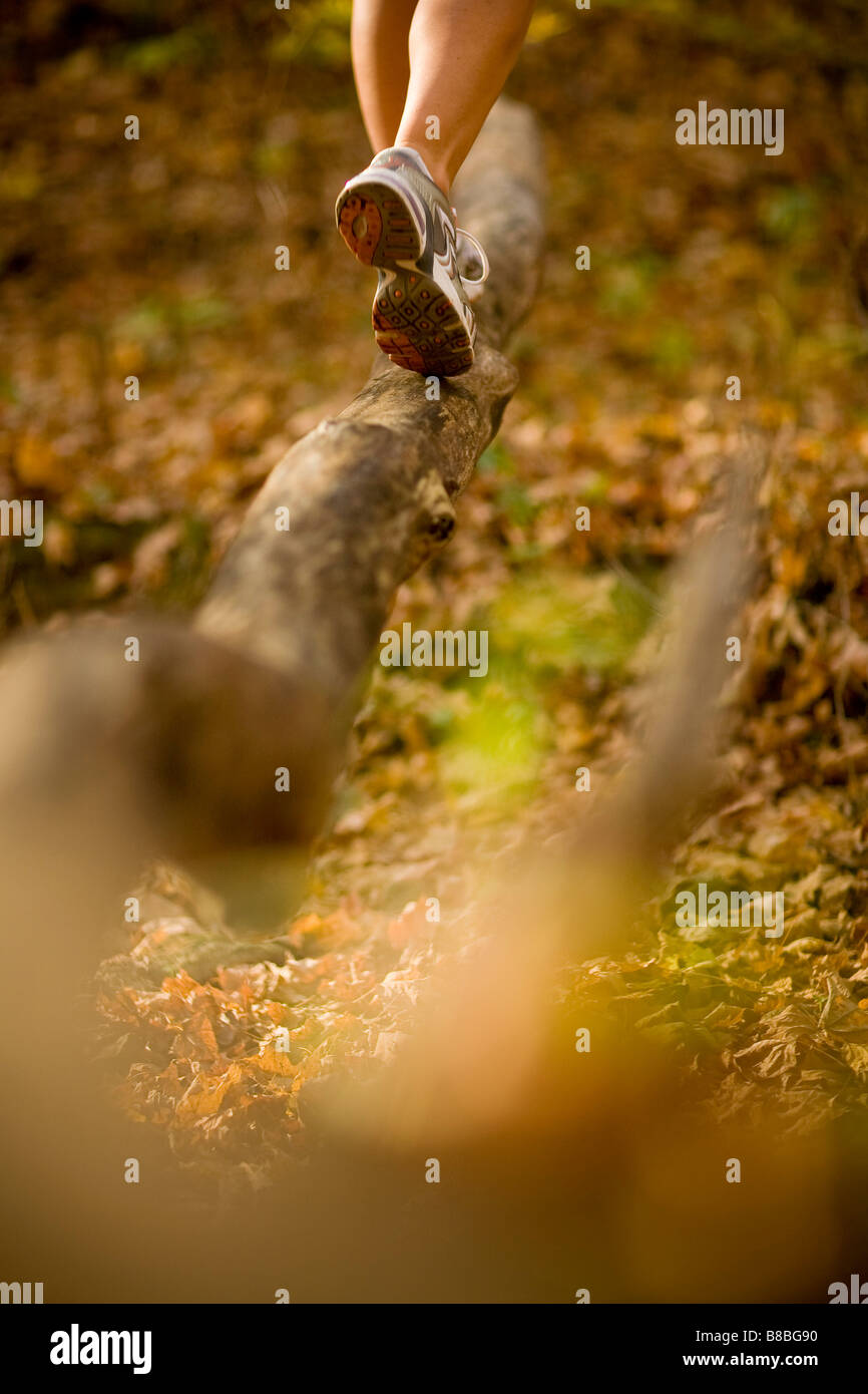 Woods walking hi-res stock photography and images - Alamy