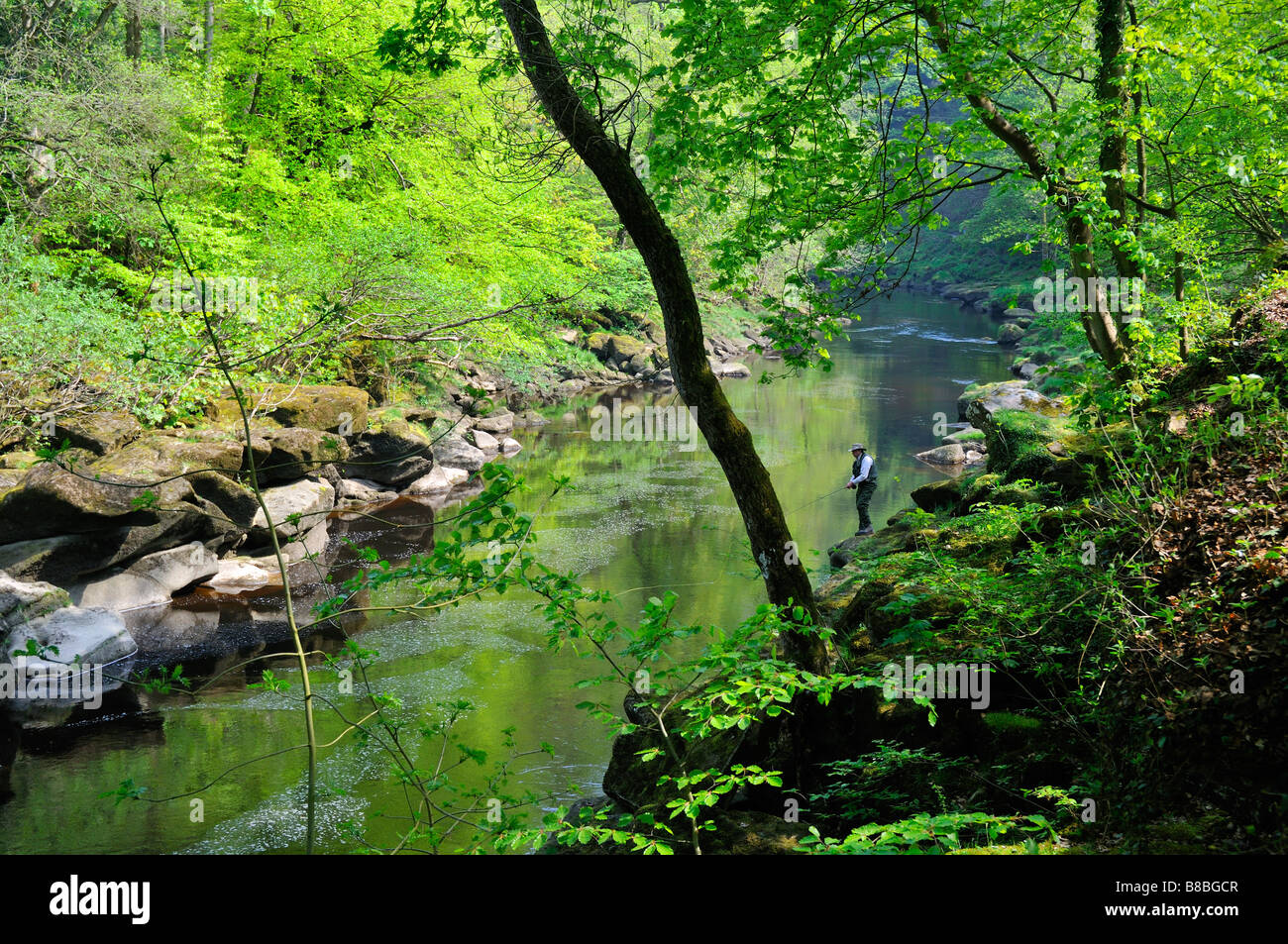 Wharfe river fishing hi-res stock photography and images - Alamy