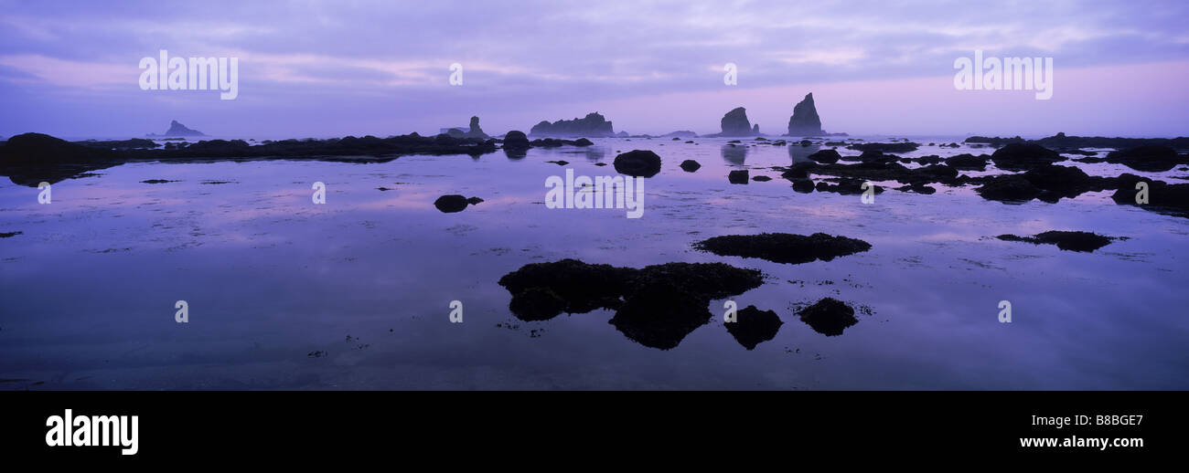 FV5462, Ron Watts; USA, Washington State, Olympic National Park, Rialto ...