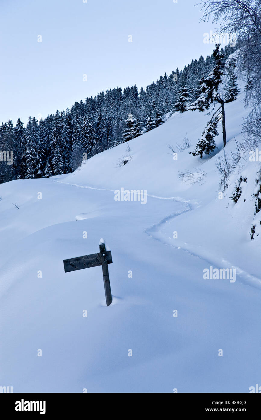 Buried Sign High Resolution Stock Photography and Images - Alamy