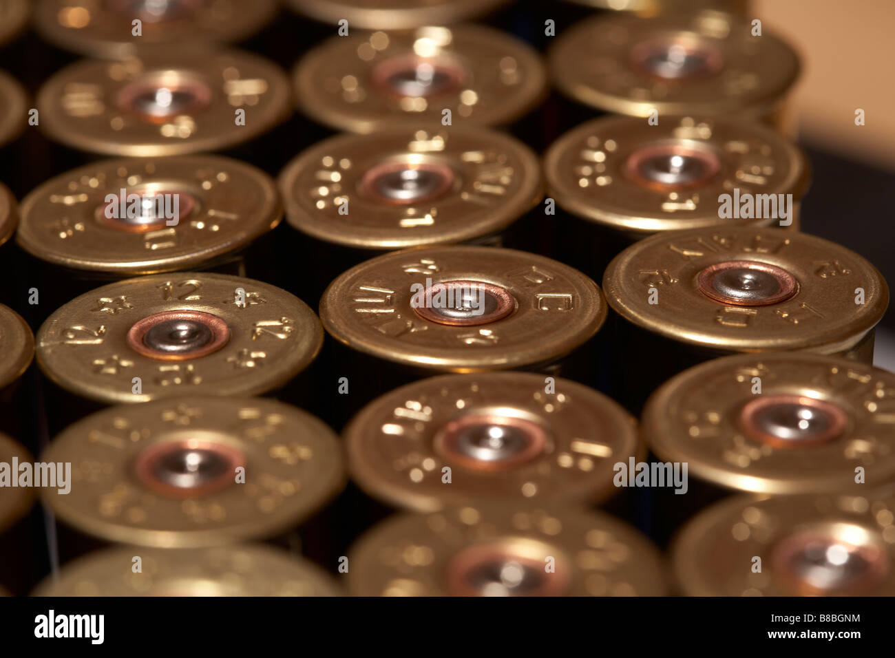 Rows of shotgun catridges Stock Photo - Alamy