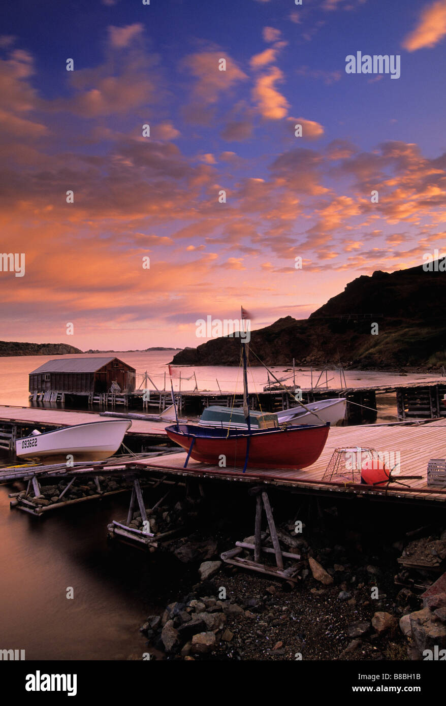 Durrell High Resolution Stock Photography and Images - Alamy