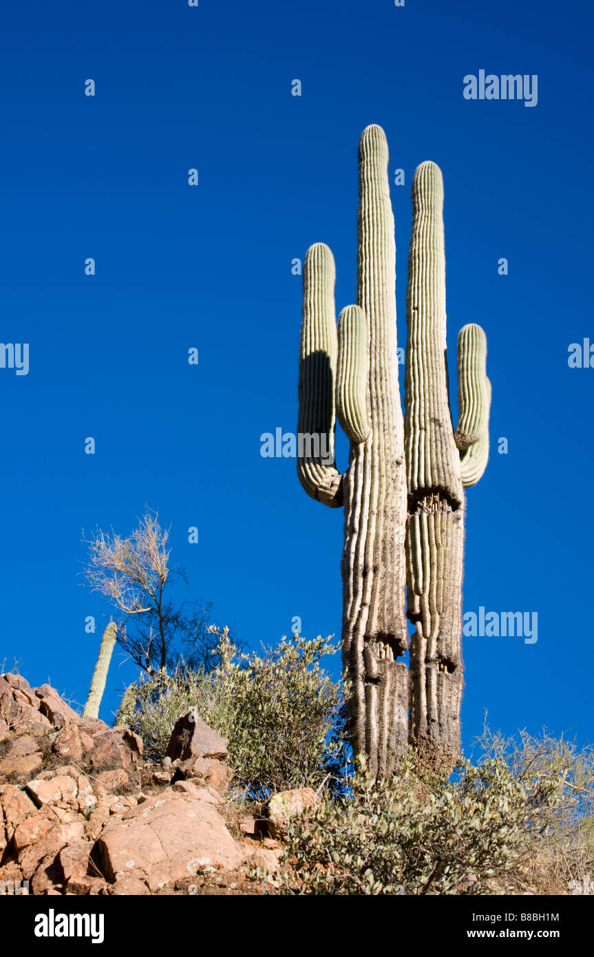 Highway 88 hi-res stock photography and images - Alamy