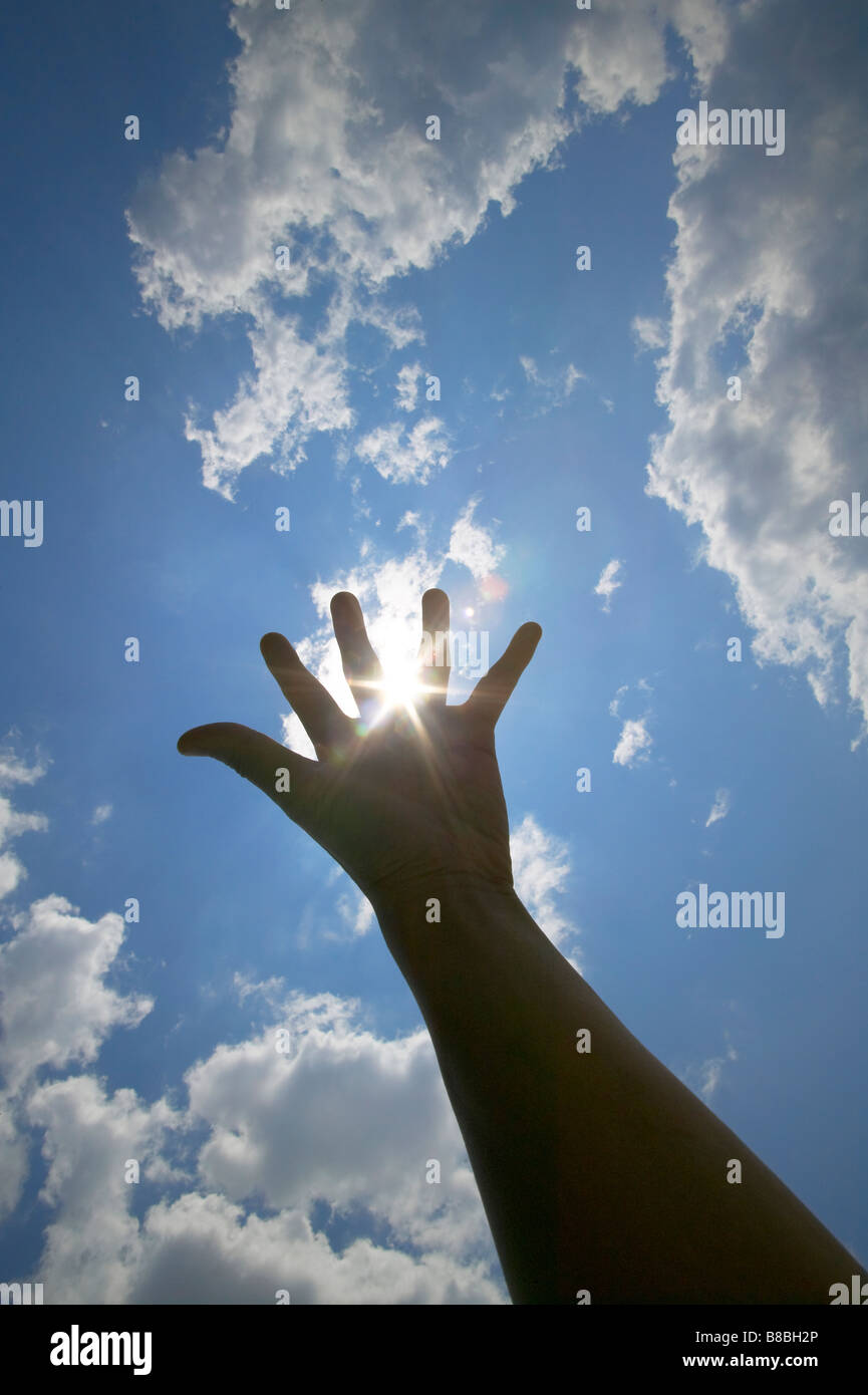 Reaching for the sun hi-res stock photography and images - Alamy