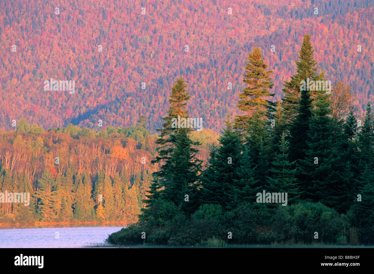 Bathurst Lake, Mount Carleton Provincial Park, New Brunswick Stock ...