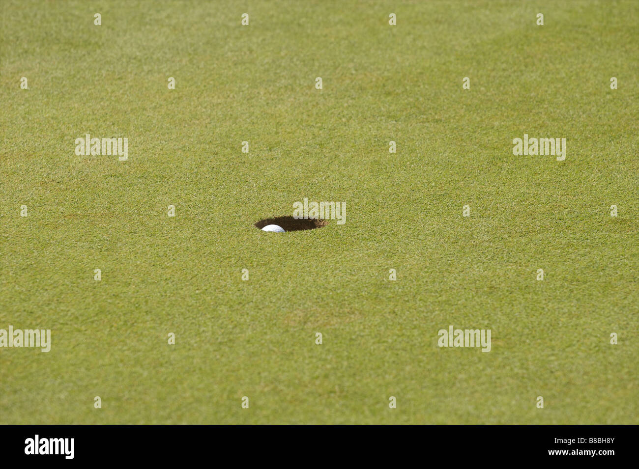 Golf ball falling hole hi-res stock photography and images - Alamy
