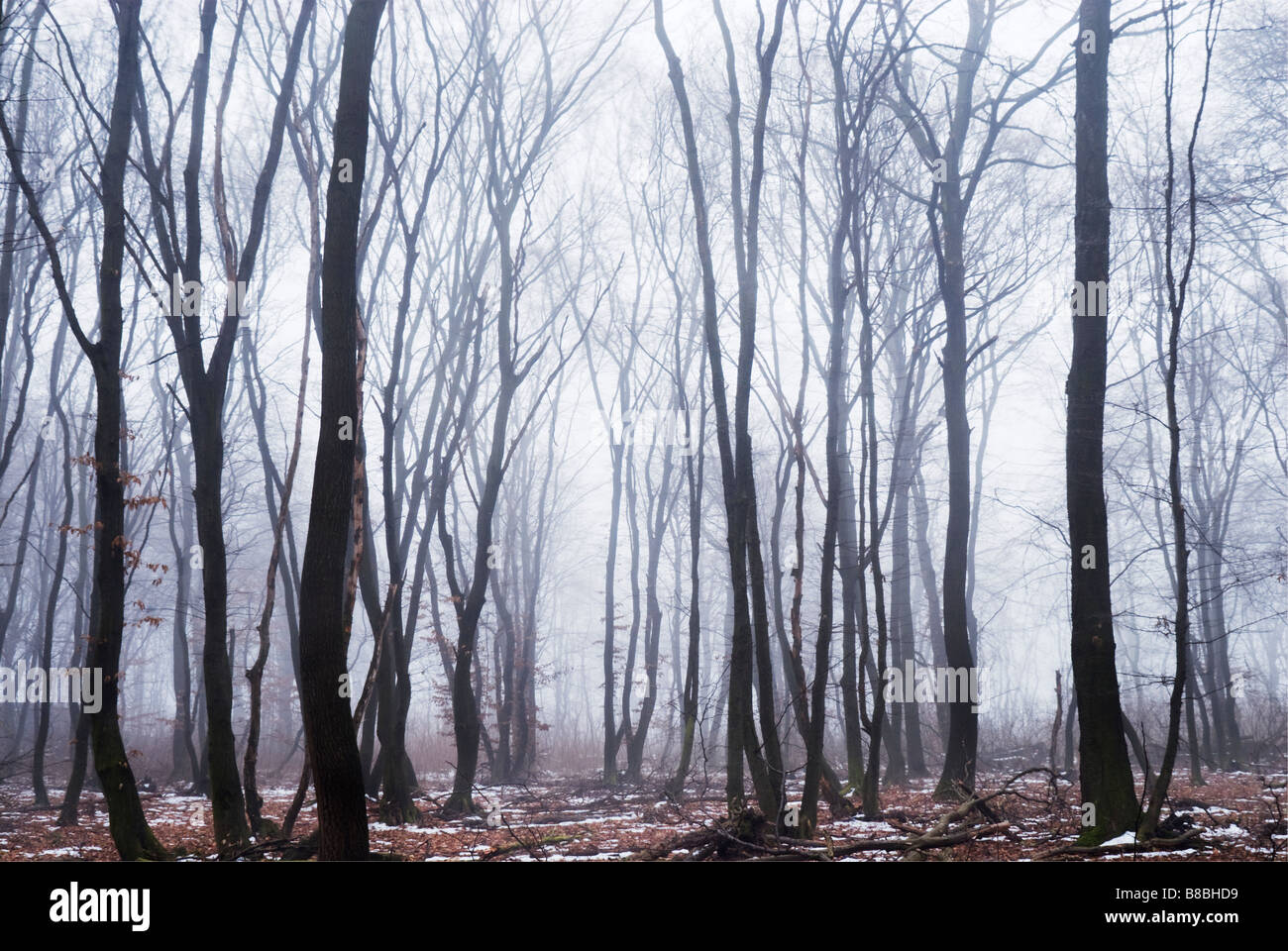 Misty pattern hi-res stock photography and images - Alamy