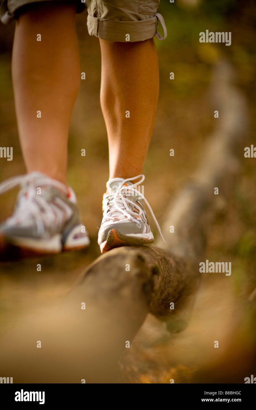 Tree climbing walking hi-res stock photography and images - Alamy