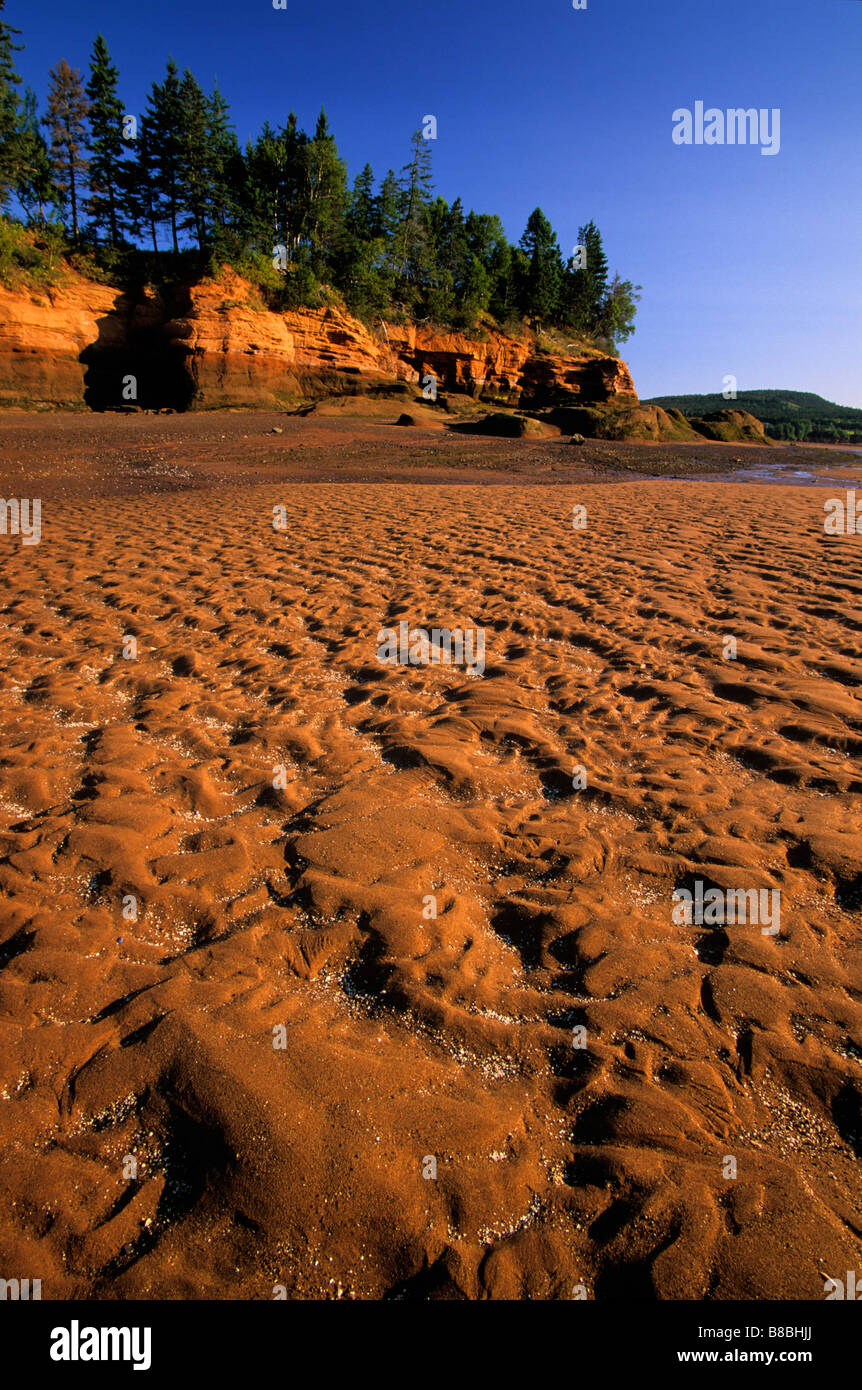 Low tide, Cobequid bay, Colchester County Nova Scotia Stock Photo - Alamy