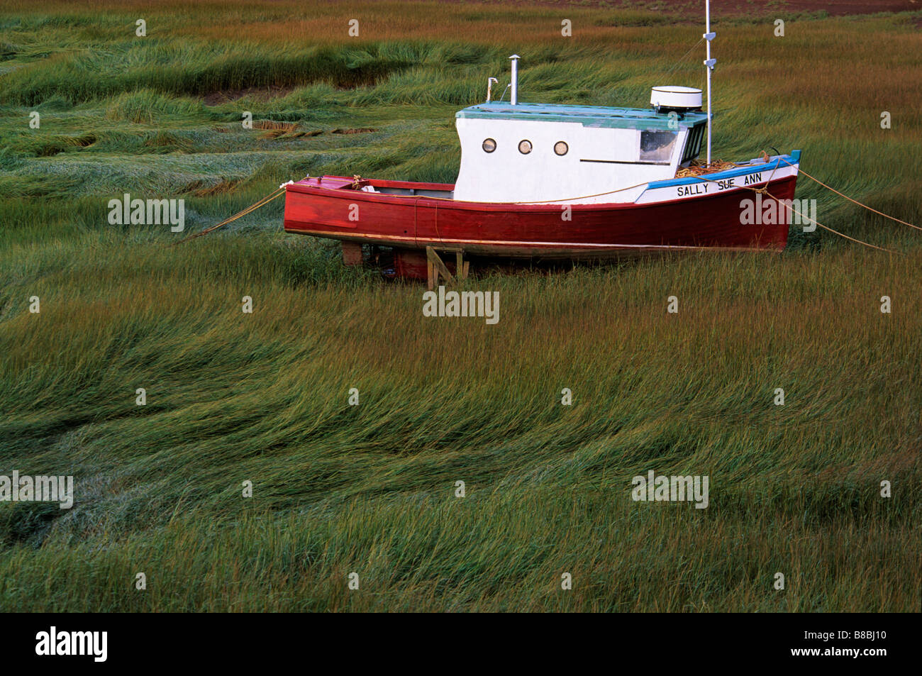 Kings county hi-res stock photography and images - Alamy