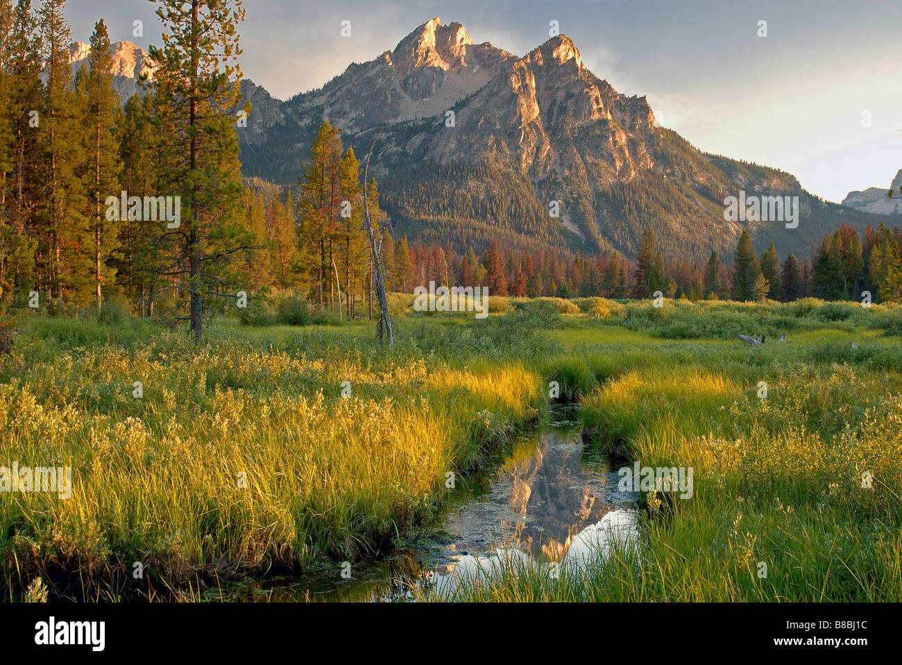 McGowan Peak Reflected Marsh Grasses, Stanley, Idaho Stock Photo - Alamy