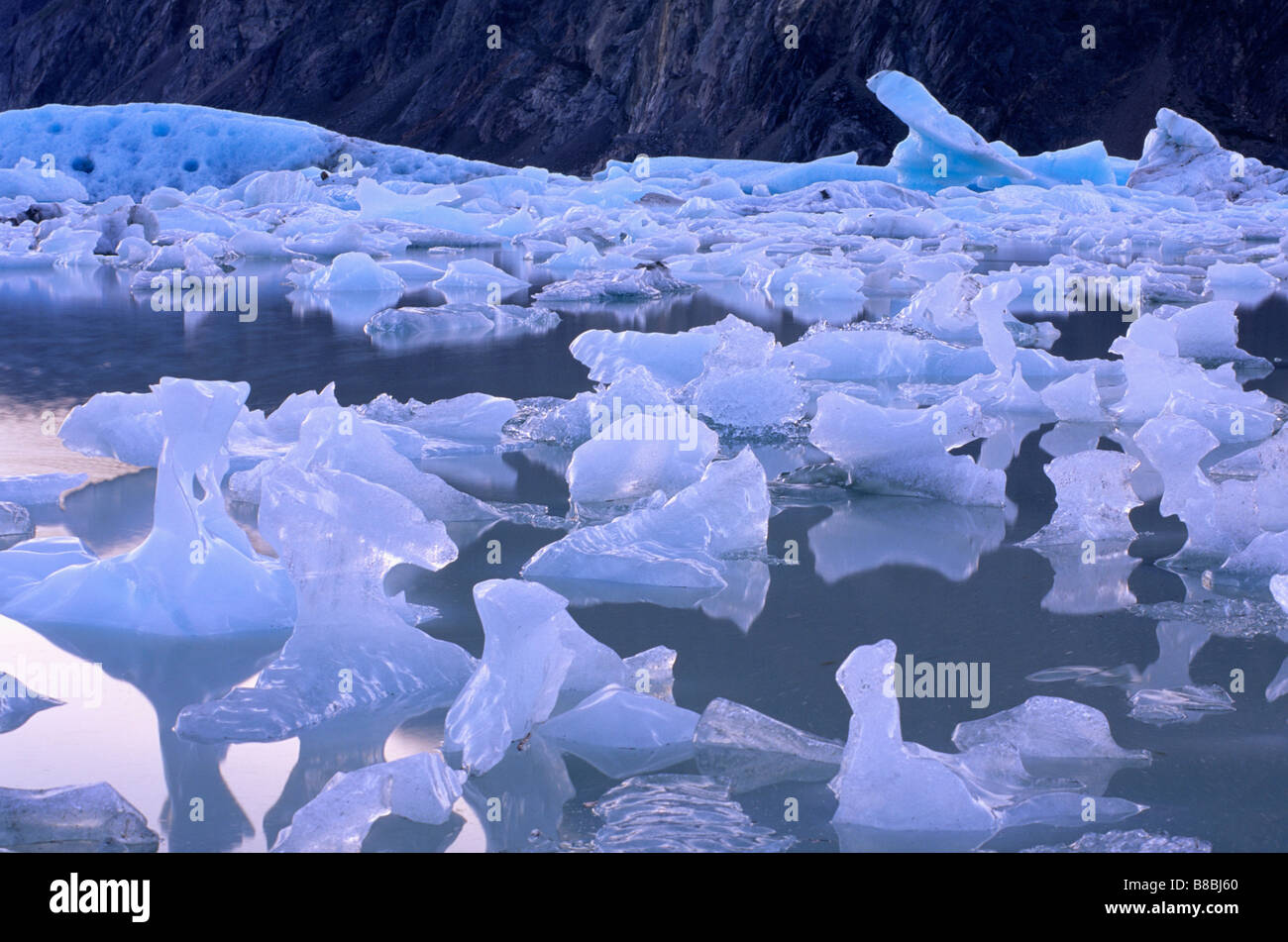 Iceflows hi-res stock photography and images - Alamy