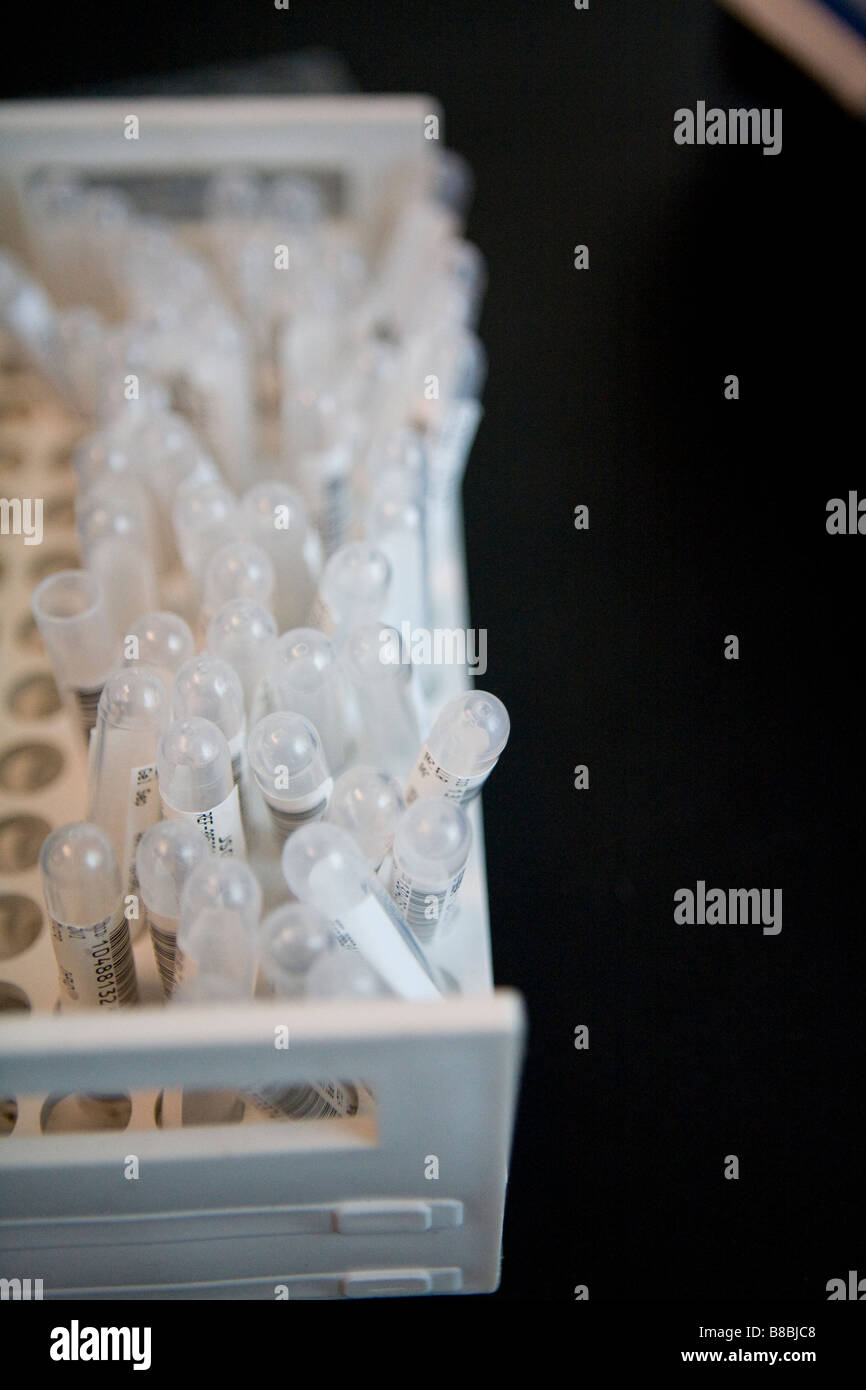 Test Tubes Tray Stock Photo - Alamy
