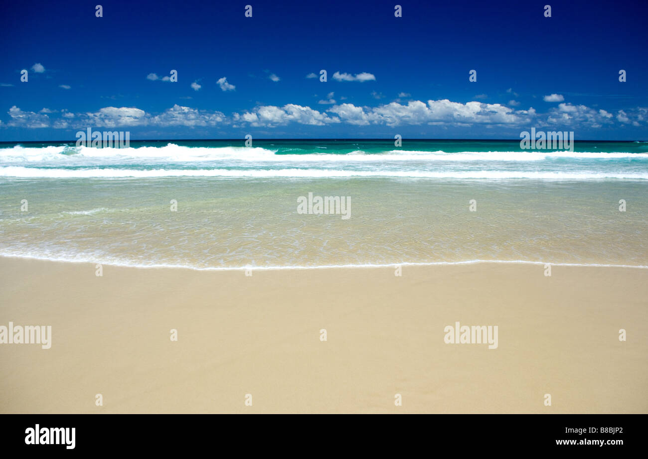 Australian beach bum hi-res stock photography and images - Alamy