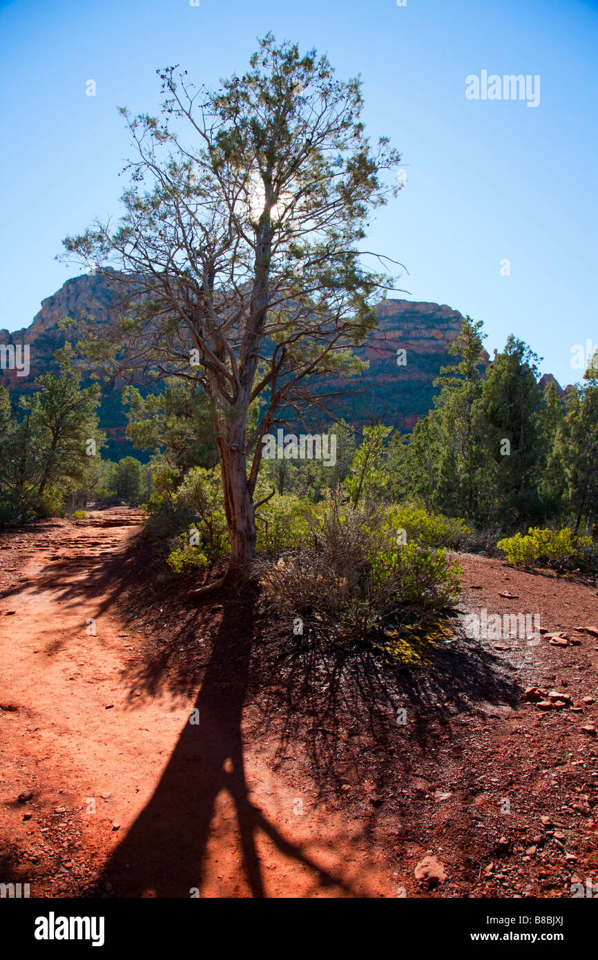 Hiking red rocks park hi-res stock photography and images - Alamy