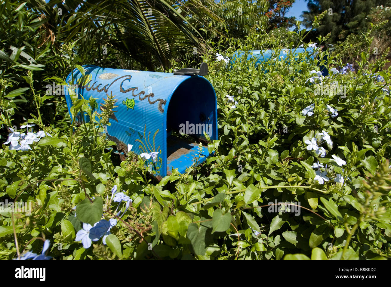 Pupukea beach park hi-res stock photography and images - Alamy