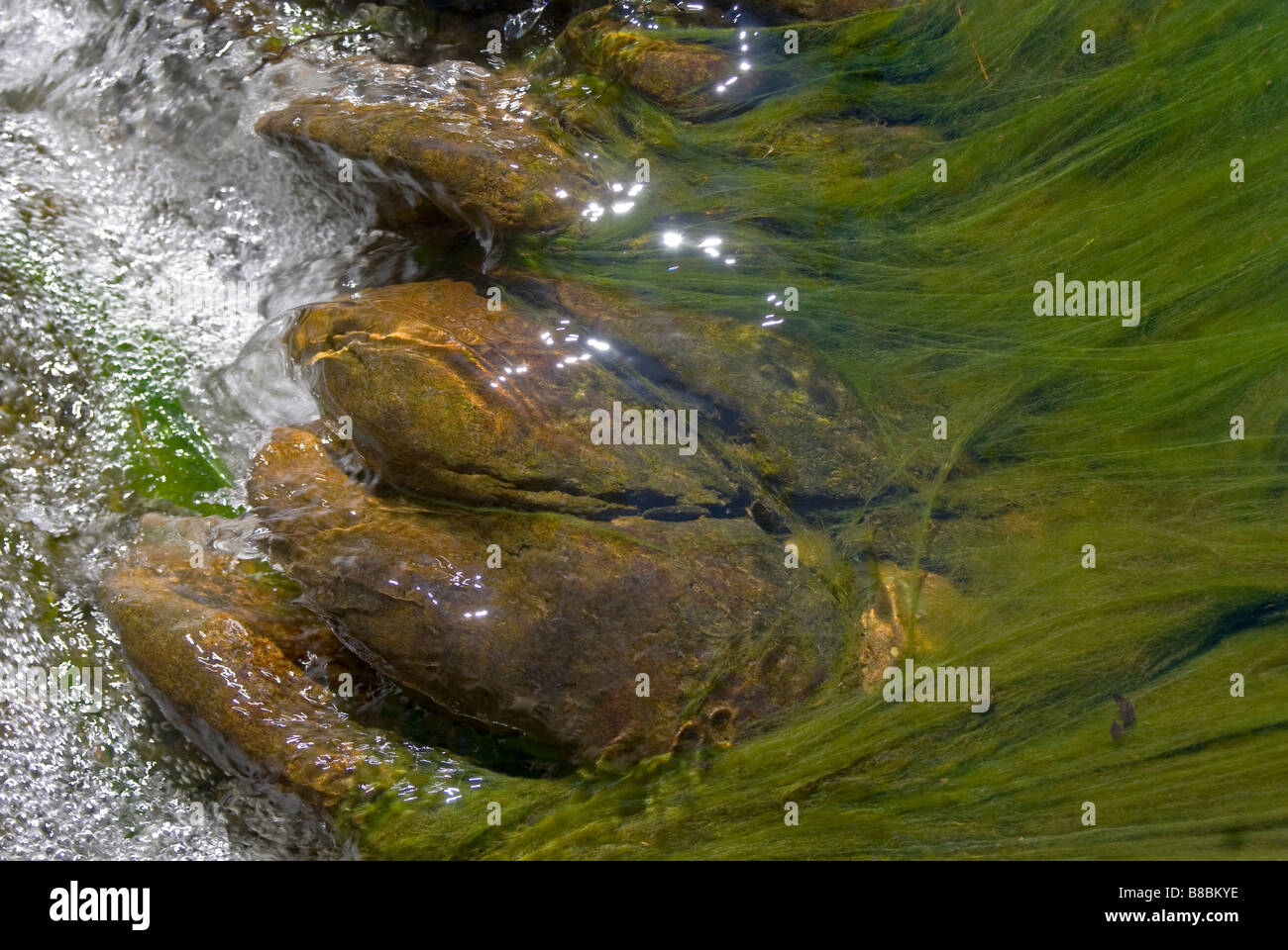 Scenic mountain stream rushing hi-res stock photography and images - Alamy