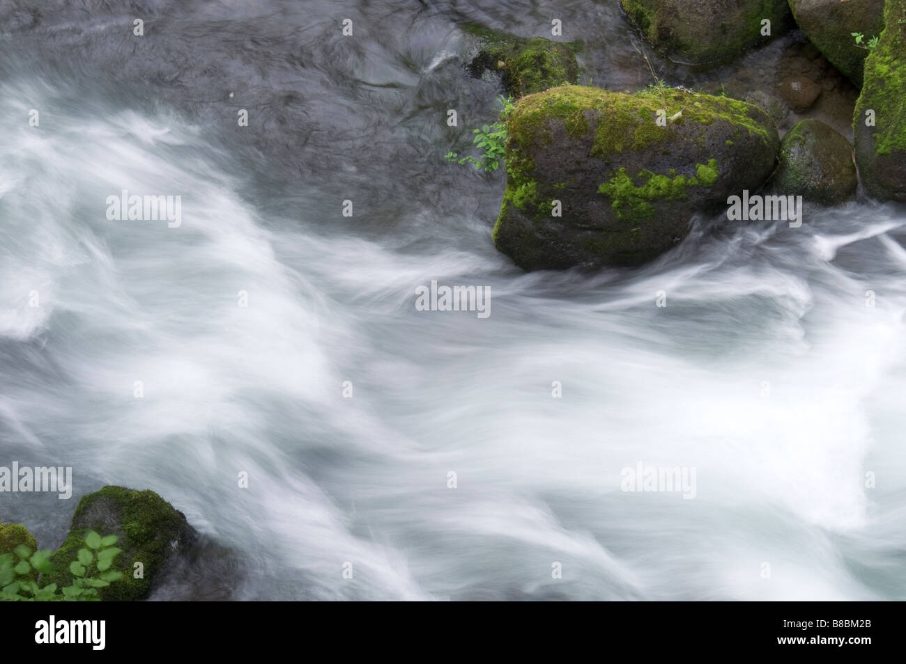 Water Stream with Green Moss Stock Photo - Alamy