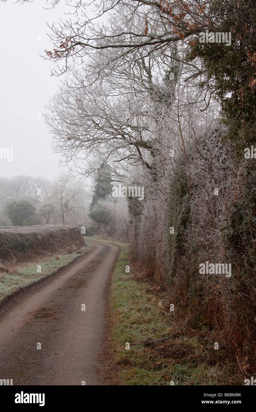Country lane with hedges covered in hoar frost Stock Photo - Alamy