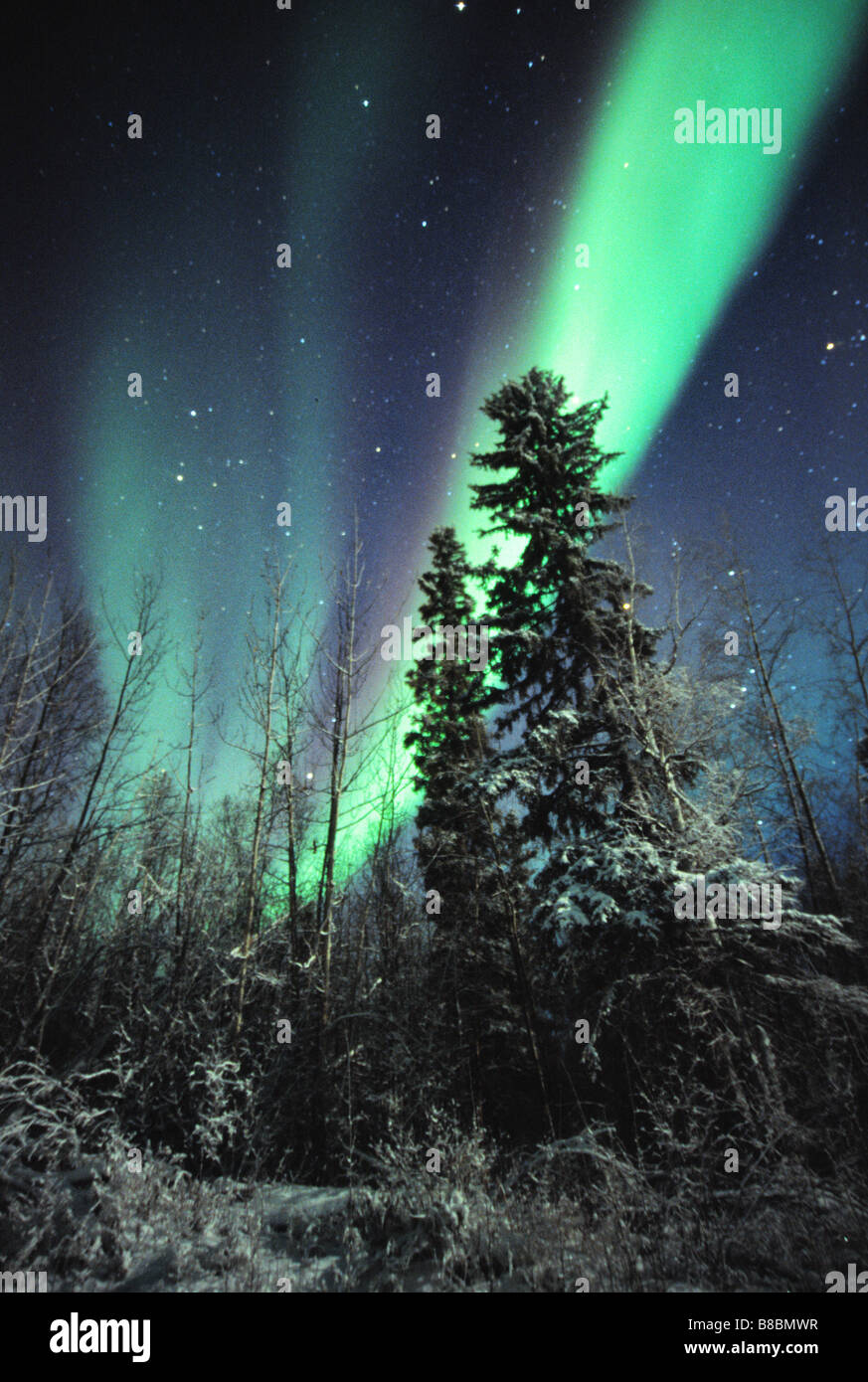 Northern Lights over t Simpson, North West Territories Stock Photo - Alamy