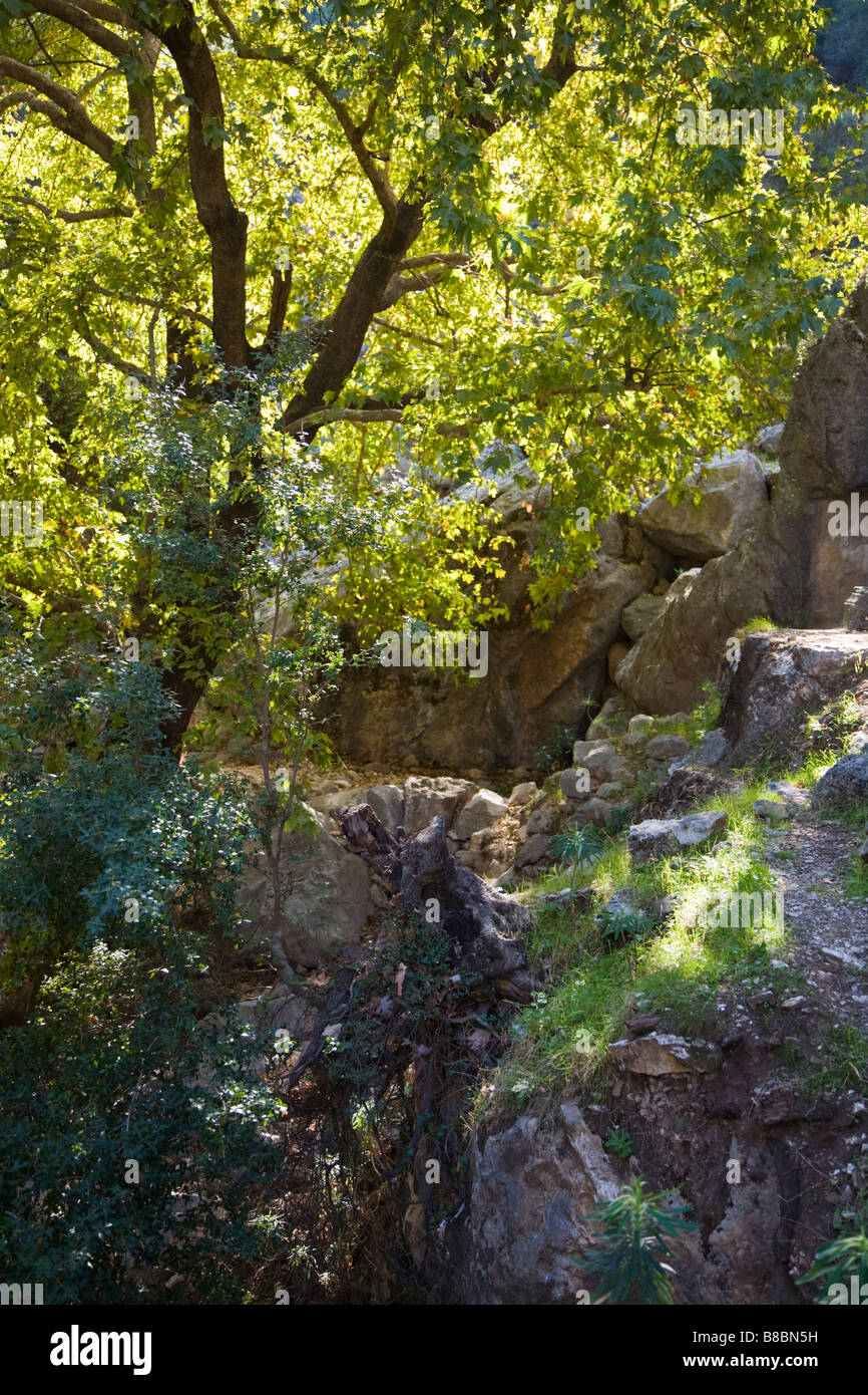 Turkish countryside, Pinara, Turkey Stock Photo - Alamy