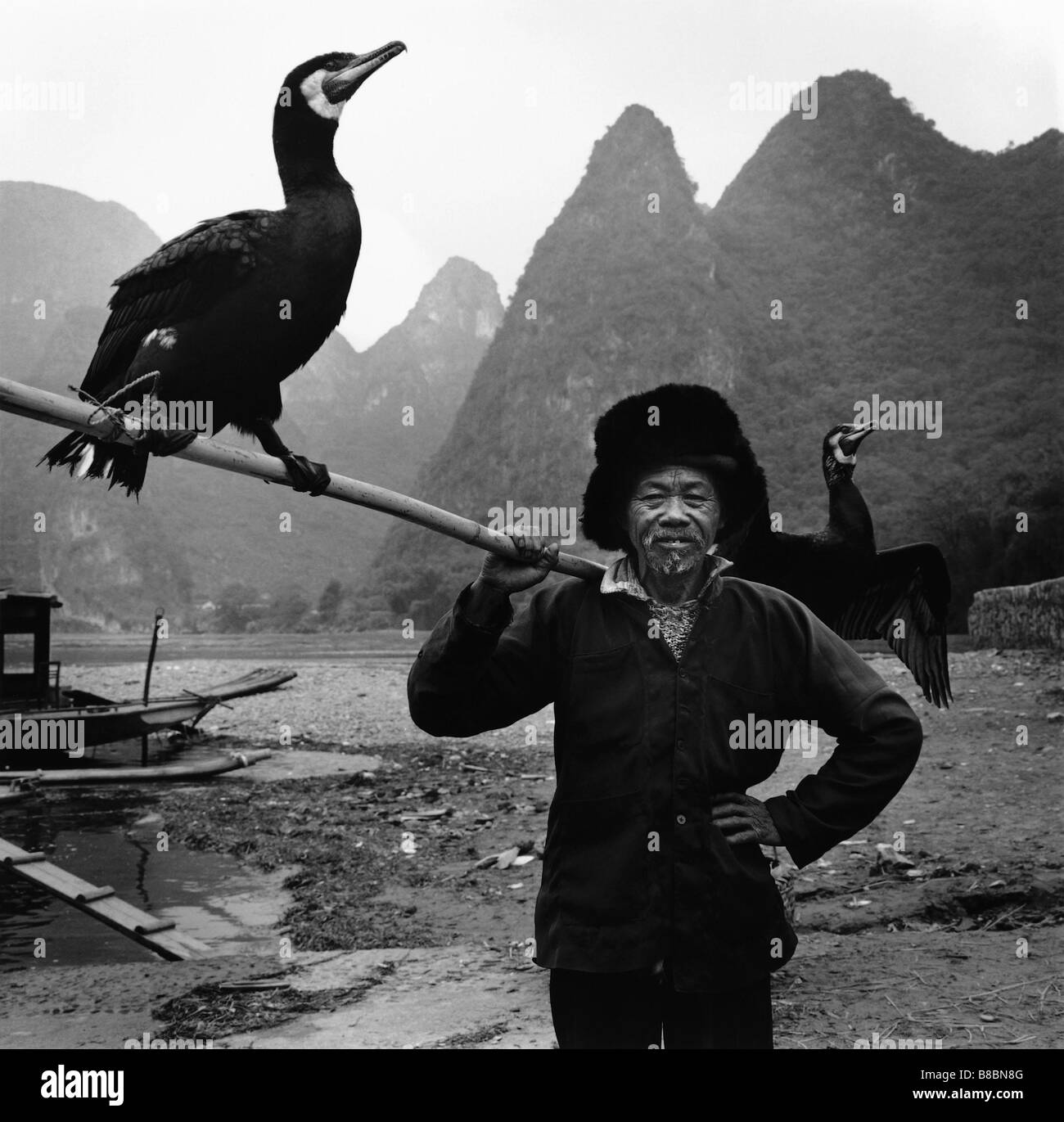 Birds emotions Black and White Stock Photos & Images - Alamy