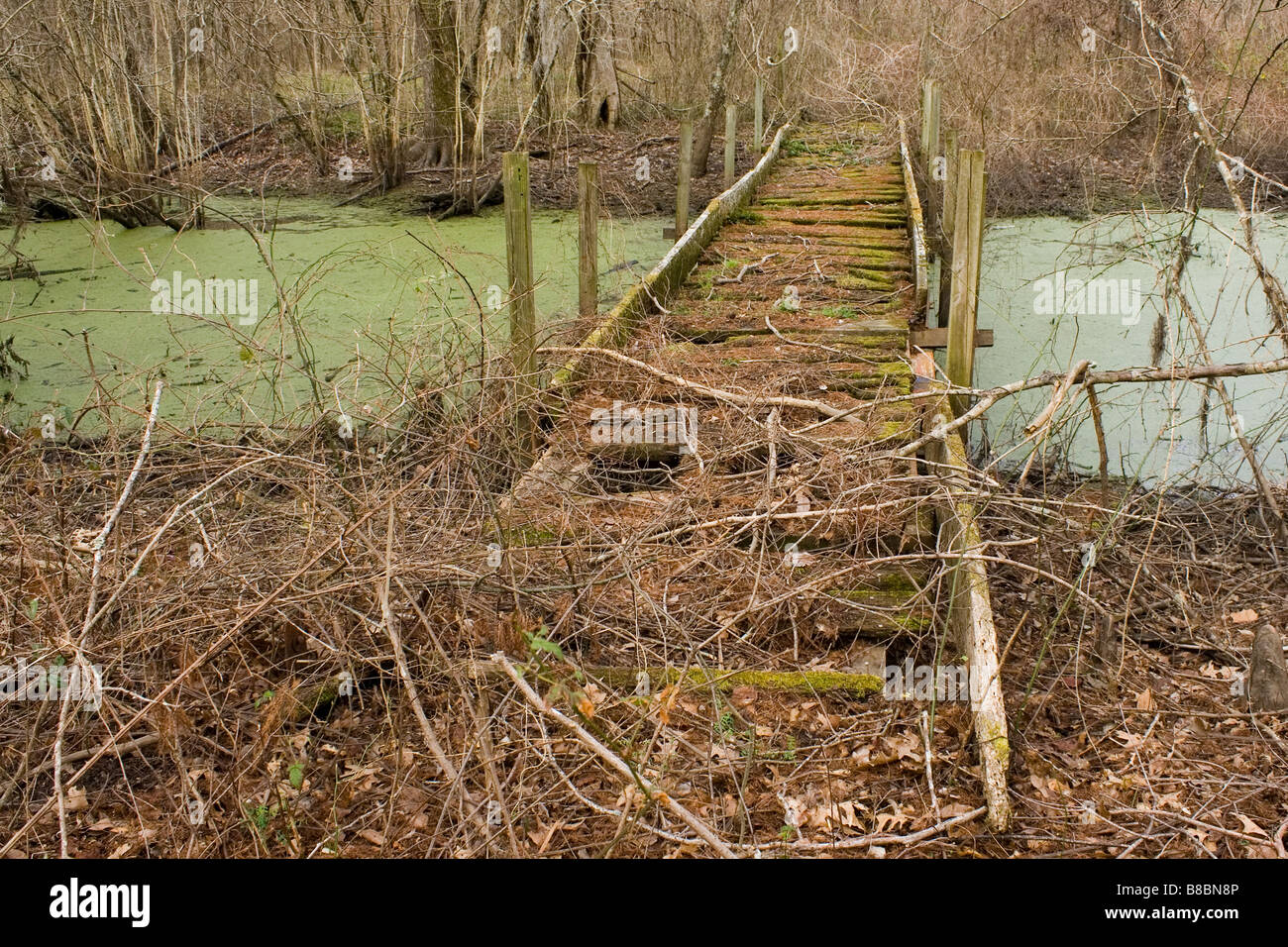 Rotten bridge hi-res stock photography and images - Alamy