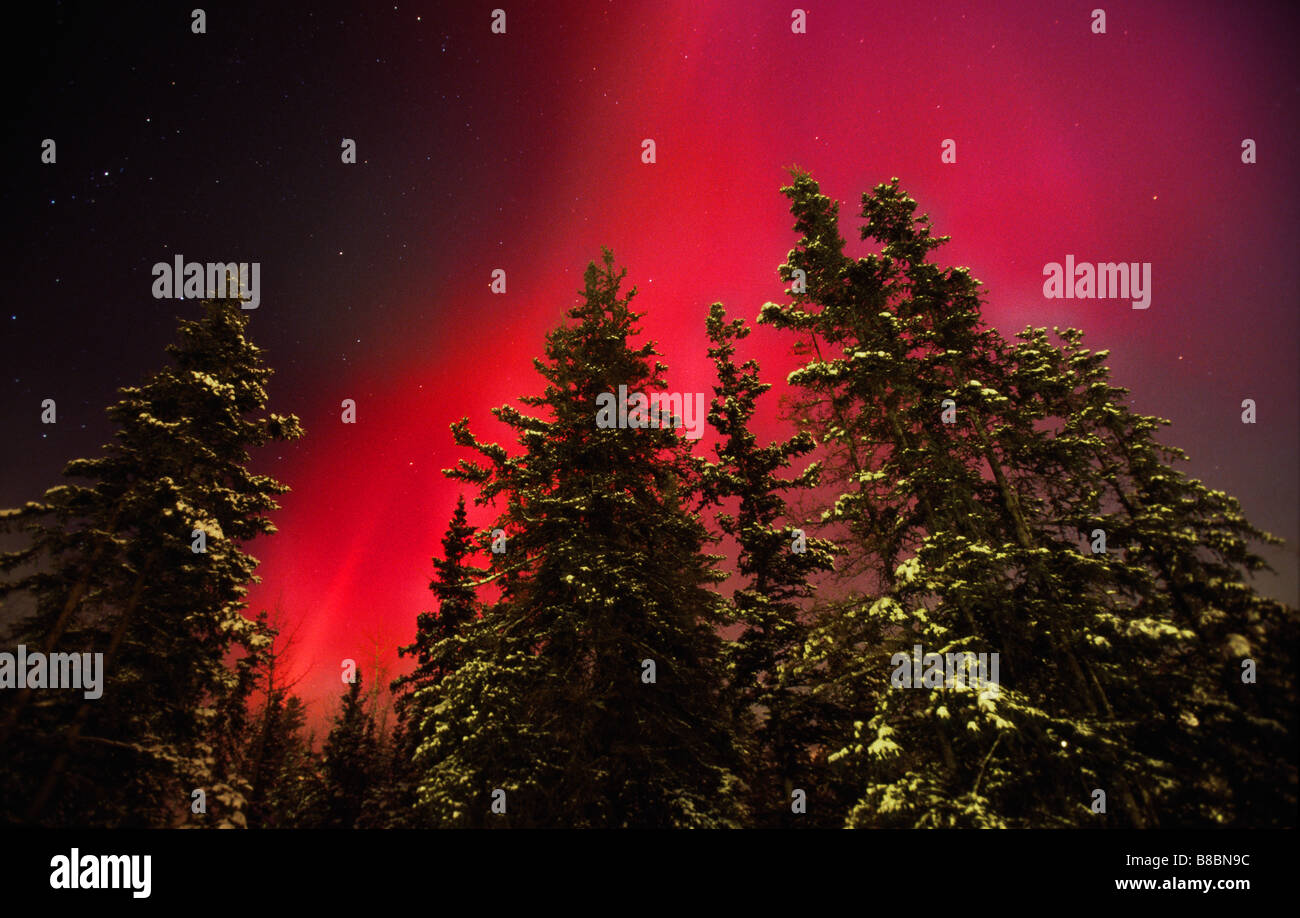 Yukon pelly crossing hi-res stock photography and images - Alamy