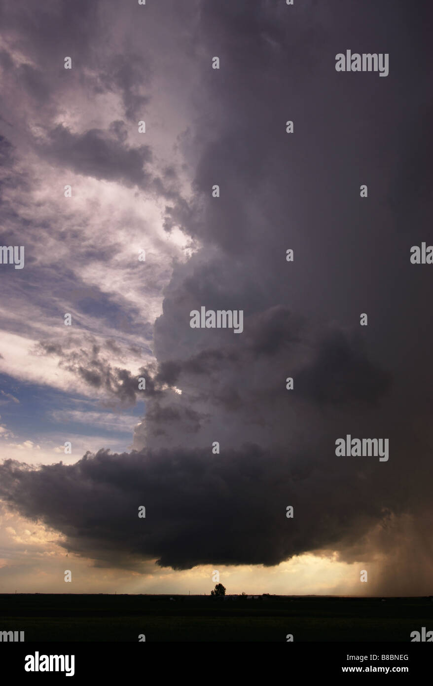 Crossfield hi-res stock photography and images - Alamy