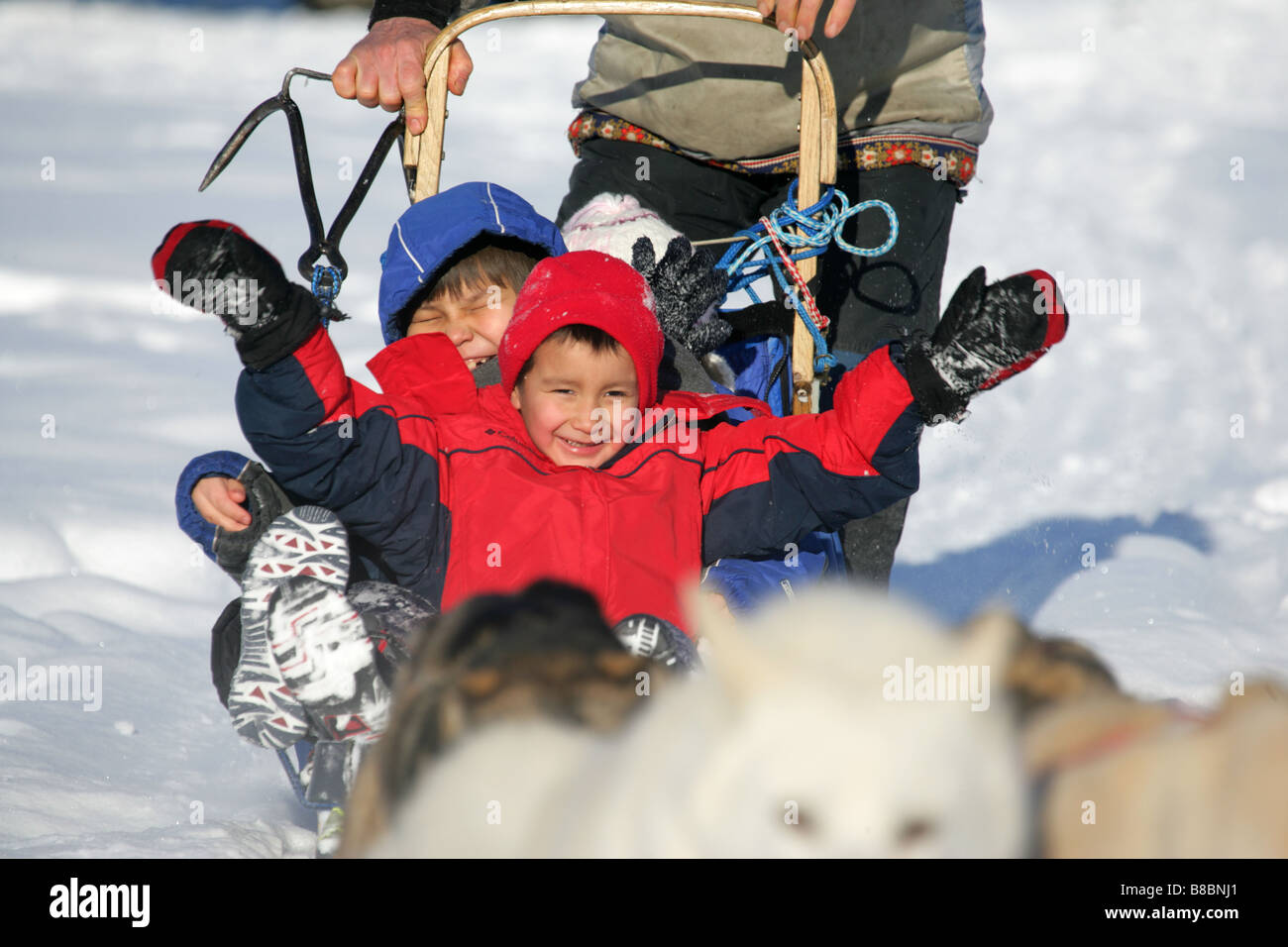 Young Boys ride Dog Sled, Pelly Crossing, Yukon Stock Photo - Alamy